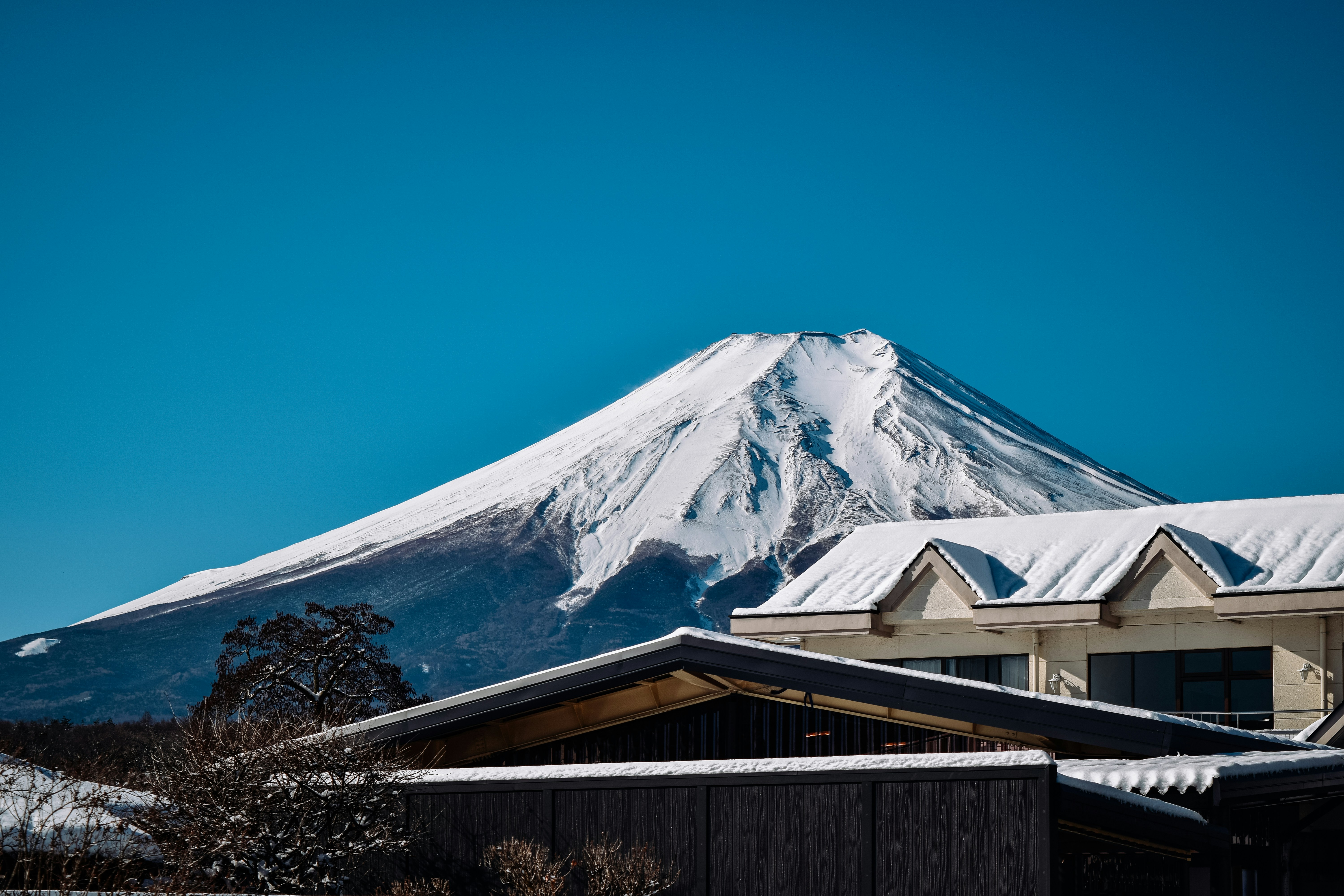 Snow-Capped Summit Rising Behind a Quiet Suburban Roofline