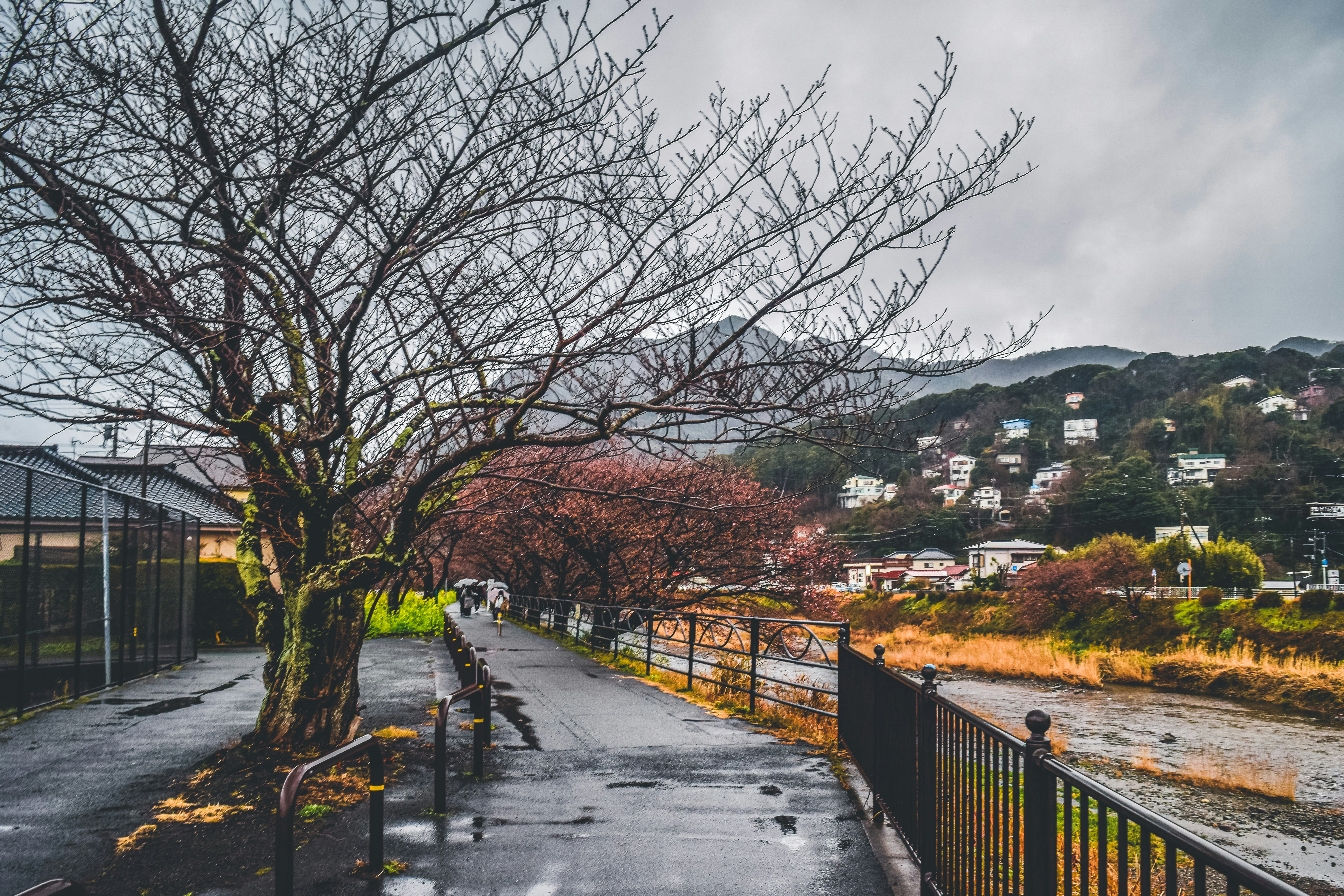 Photo by Nopparuj Lamaikul with Nikon D5300