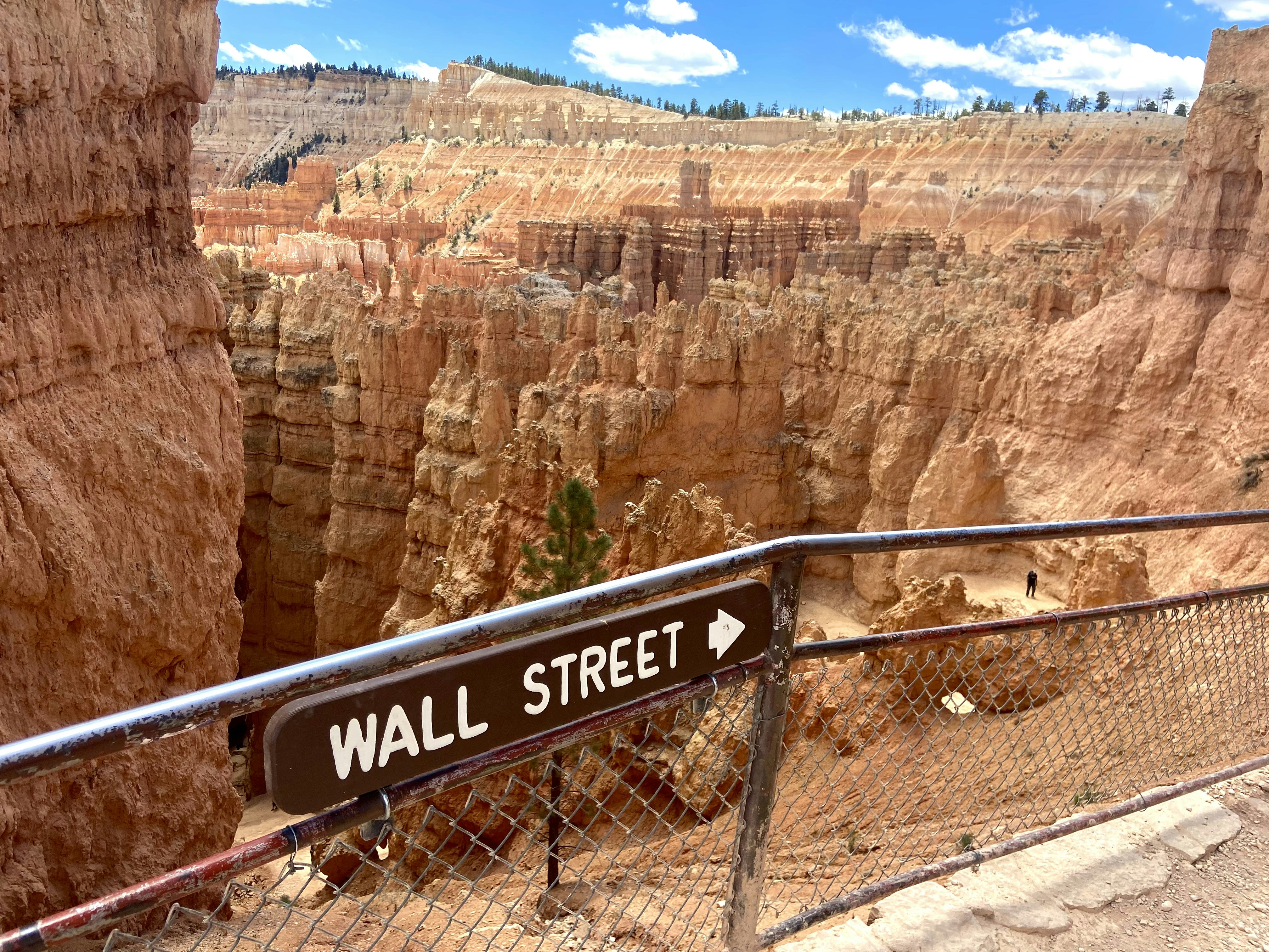 Photo by Jenny DeLuca with Apple iPhone 11