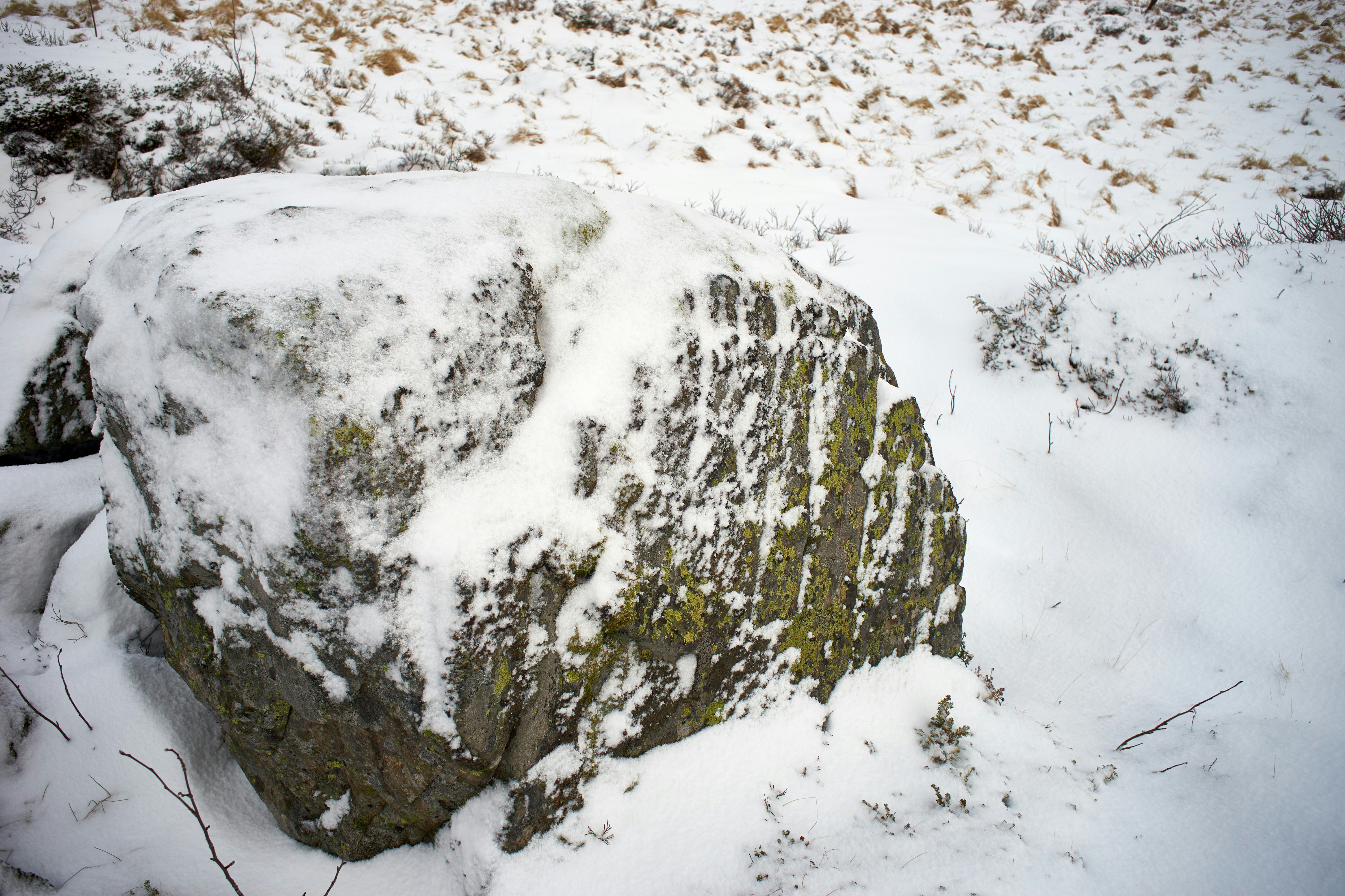 A large rock covered in snow in a field photo – Free Winter Image on ...