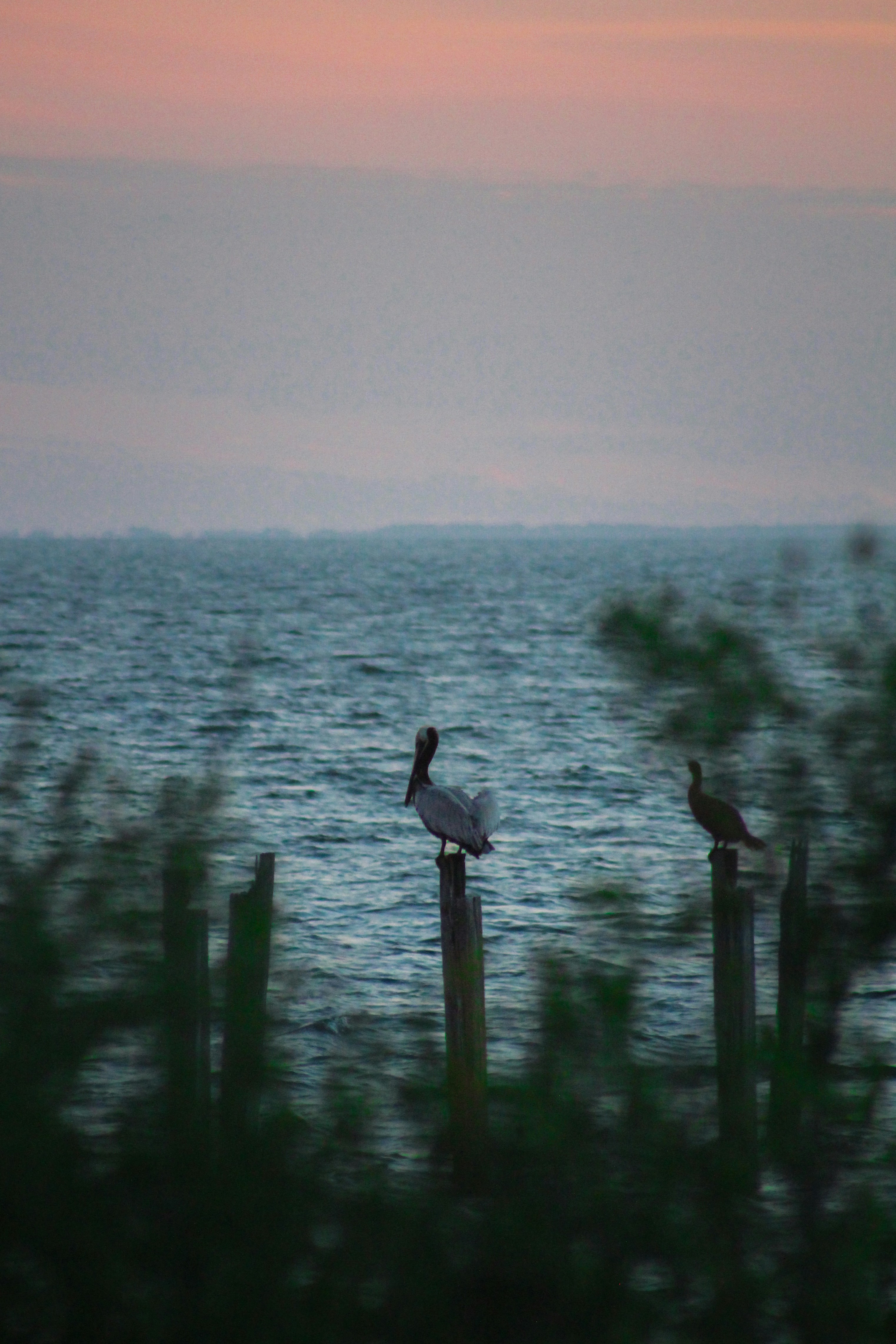 Photo by Charly Seyler with Canon EOS 1200D