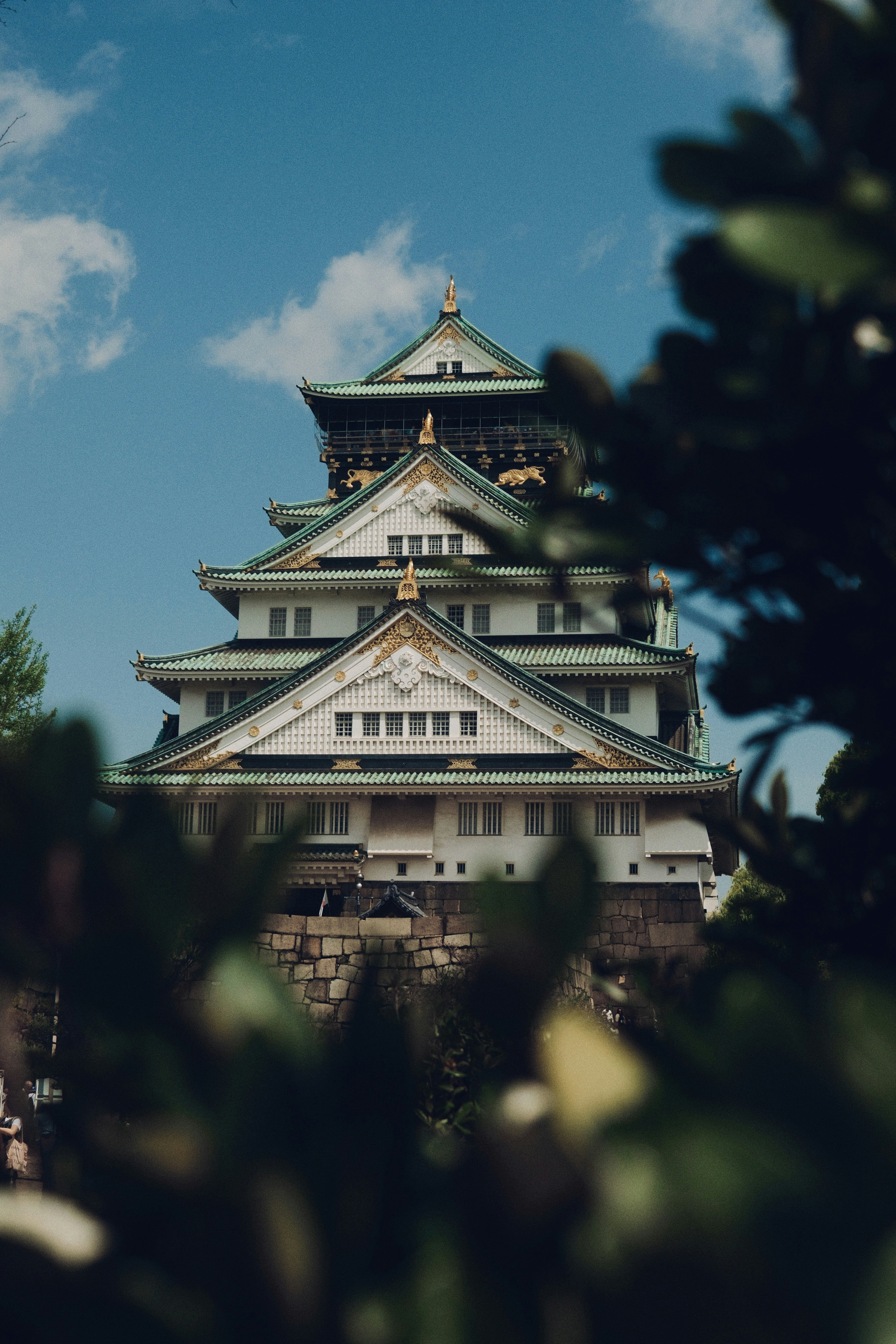 Framed Majesty: A Japanese Castle Rising Through Veiled Foliage