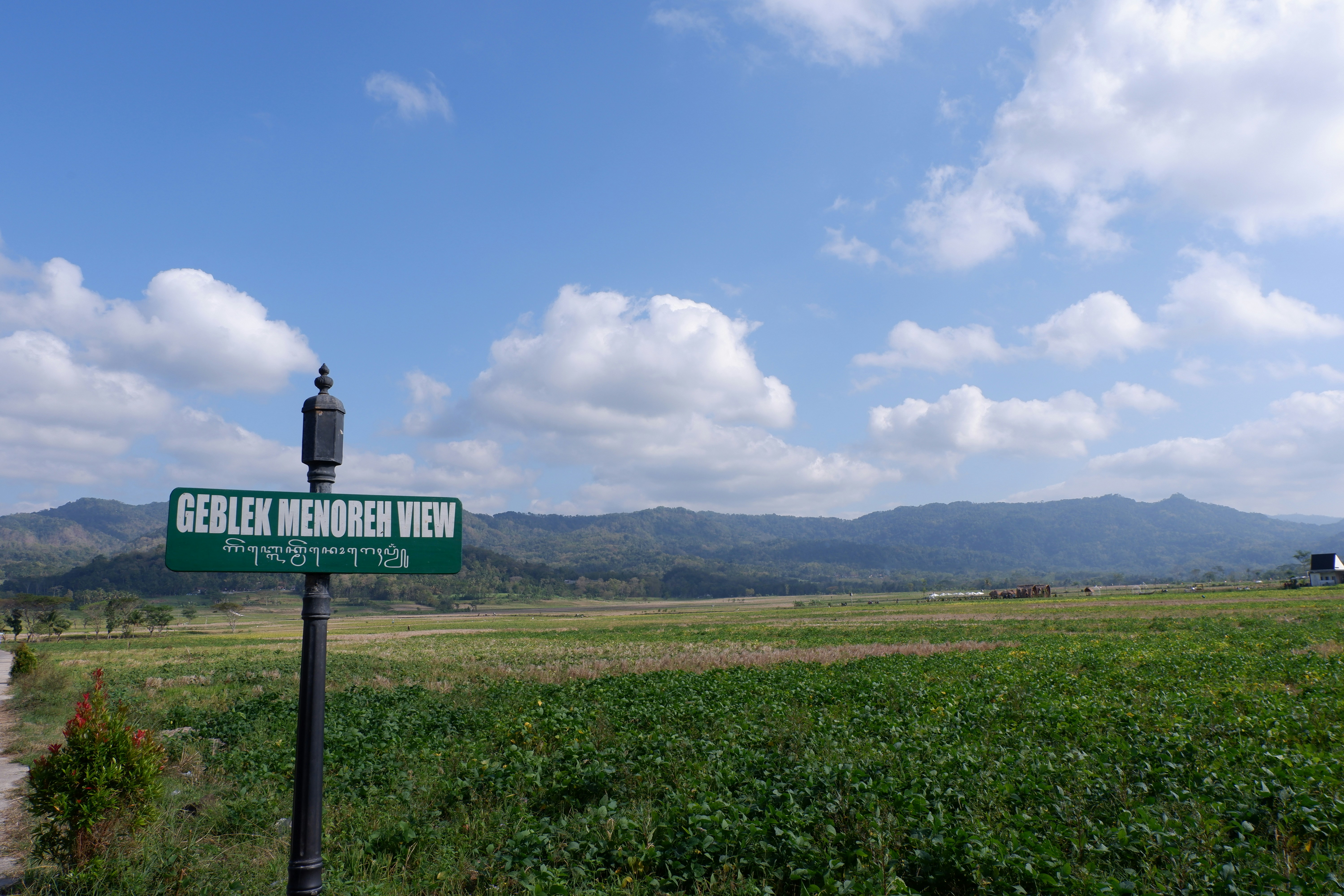 GEBLEK MENOREH VIEW: Lone Signpost Framing a Wide Javanese Plain