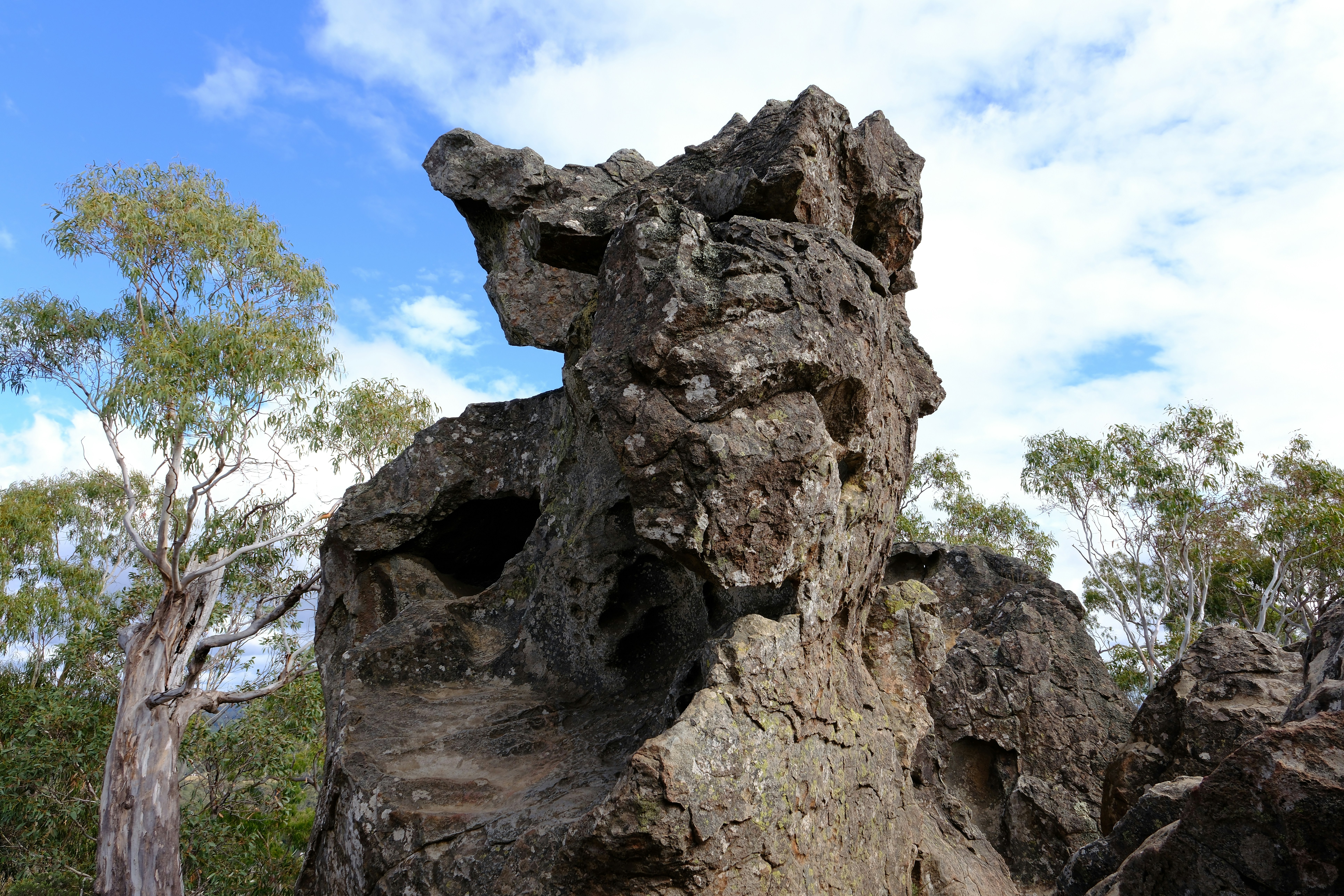 A large rock formation with trees in the background
