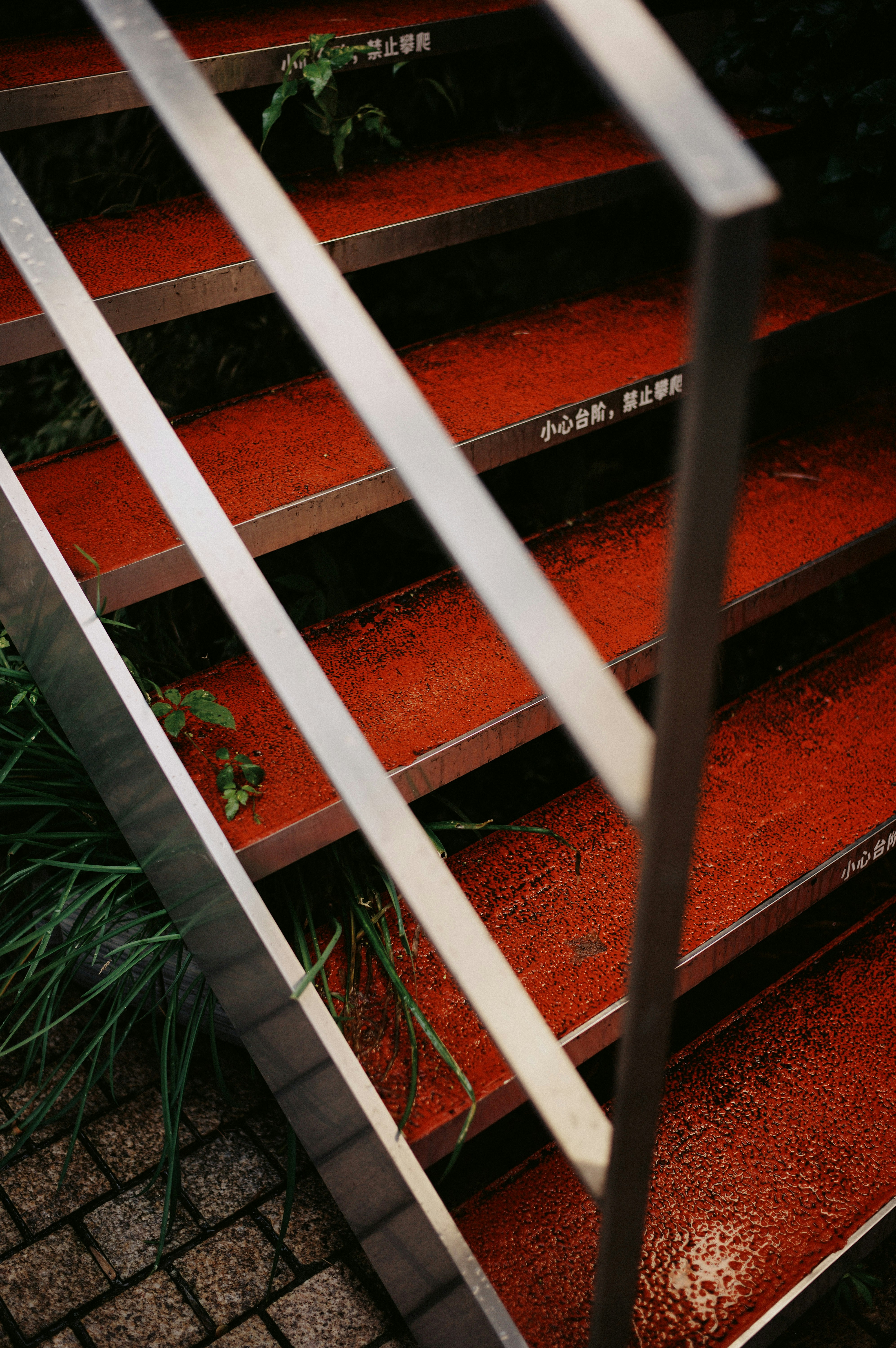 Rusty Red Staircase with Urban Greenery and Metal Railings