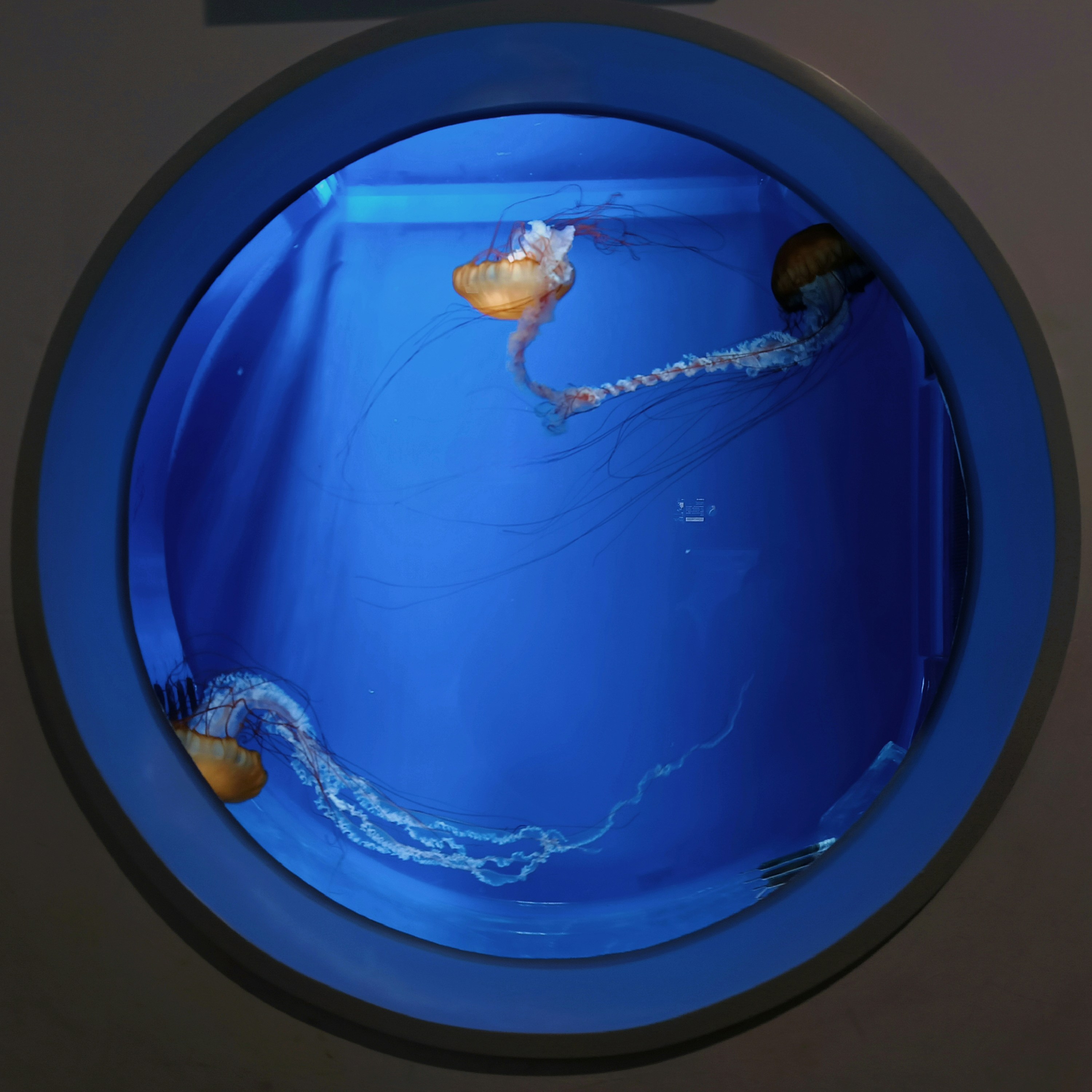 Eris Marasigan (@eris_m) | Unsplash 사진 커뮤니티