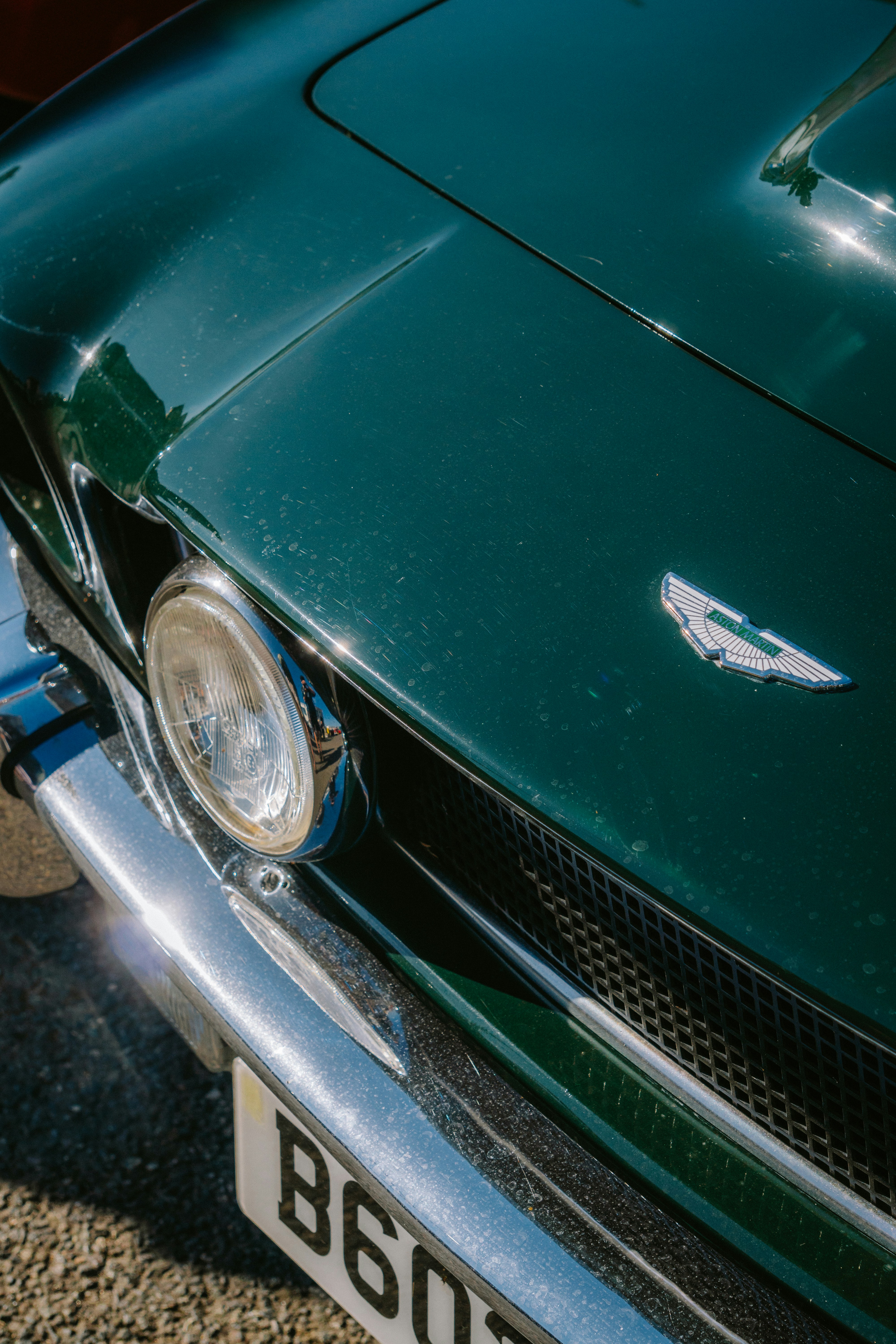 Photo by Adam Bignell with Sony Alpha 6400