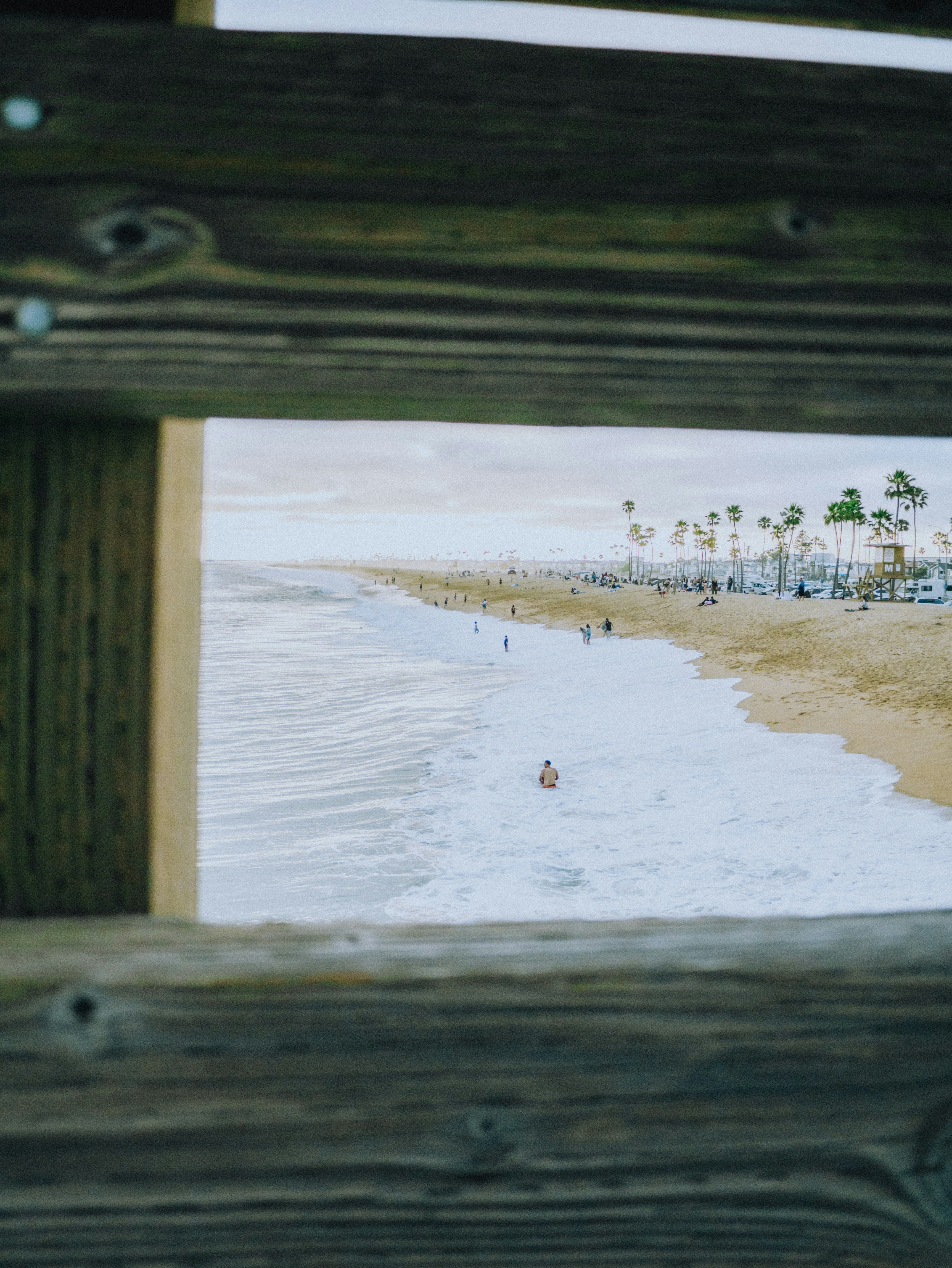 Through Weathered Slats: A Palm-Lined Beach Framed by Wood