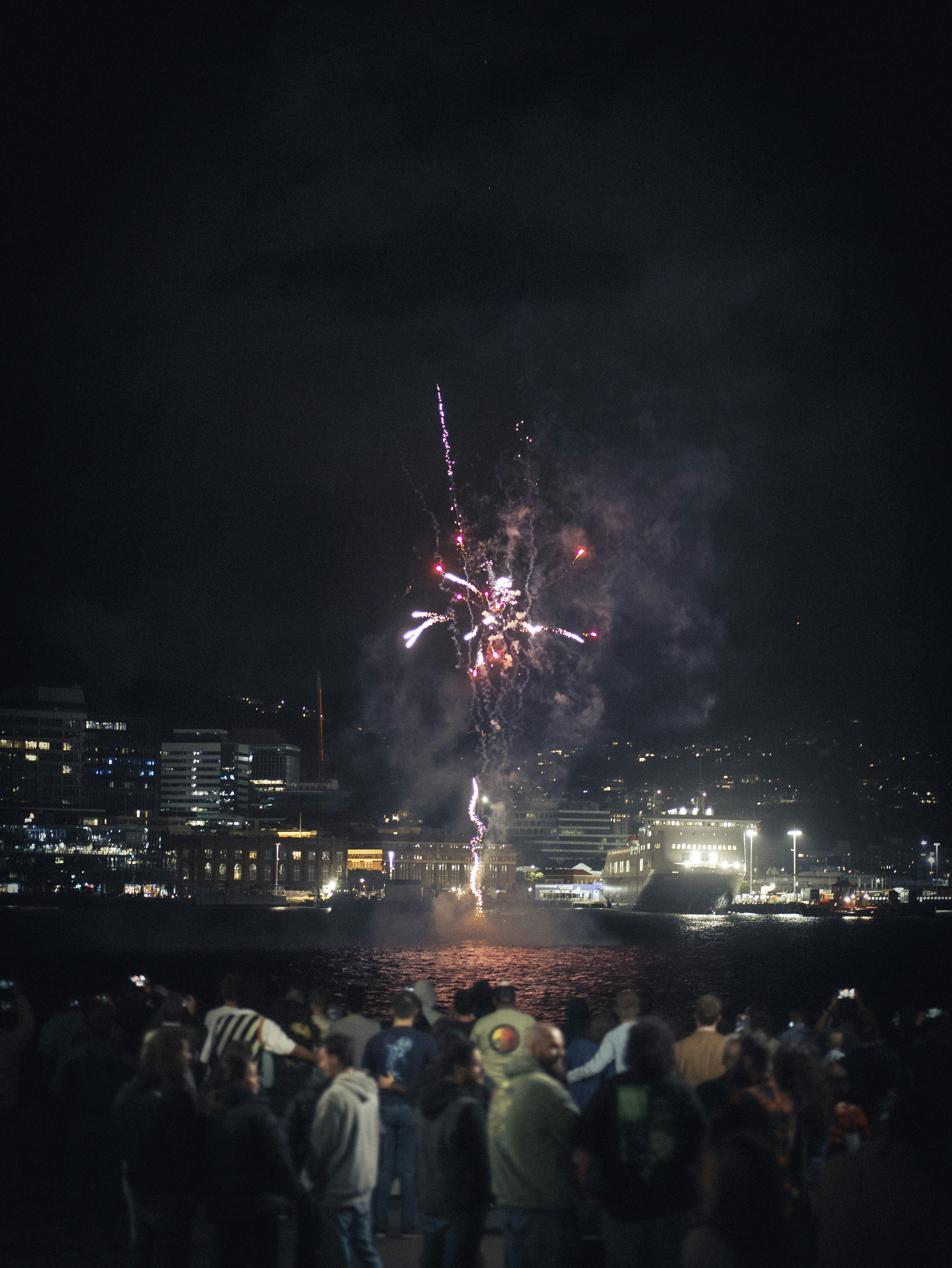 Harbor Sparks: Fireworks Above a Crowded Waterfront at Midnight