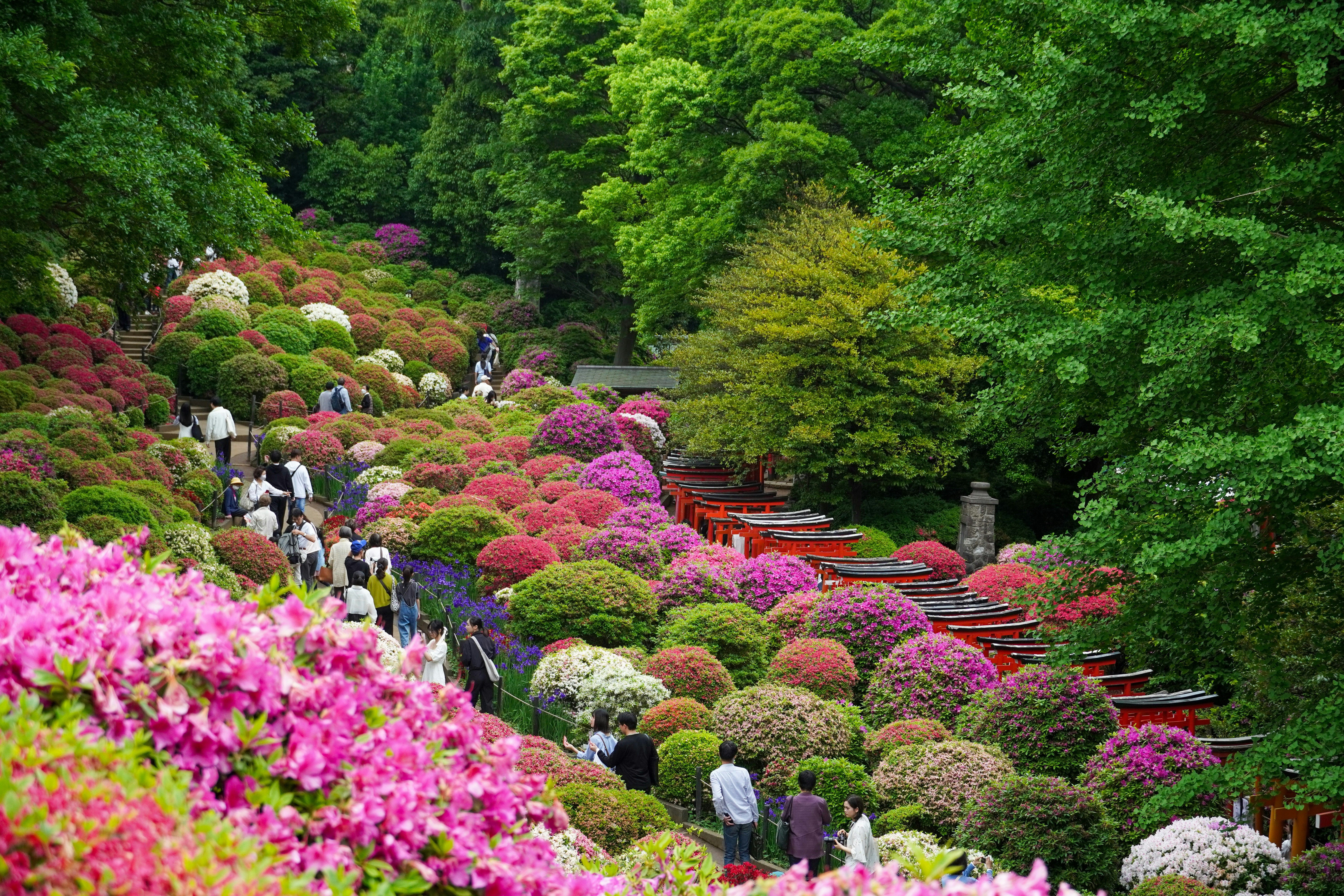 Photo by sabari nathan with Sony Alpha 6600