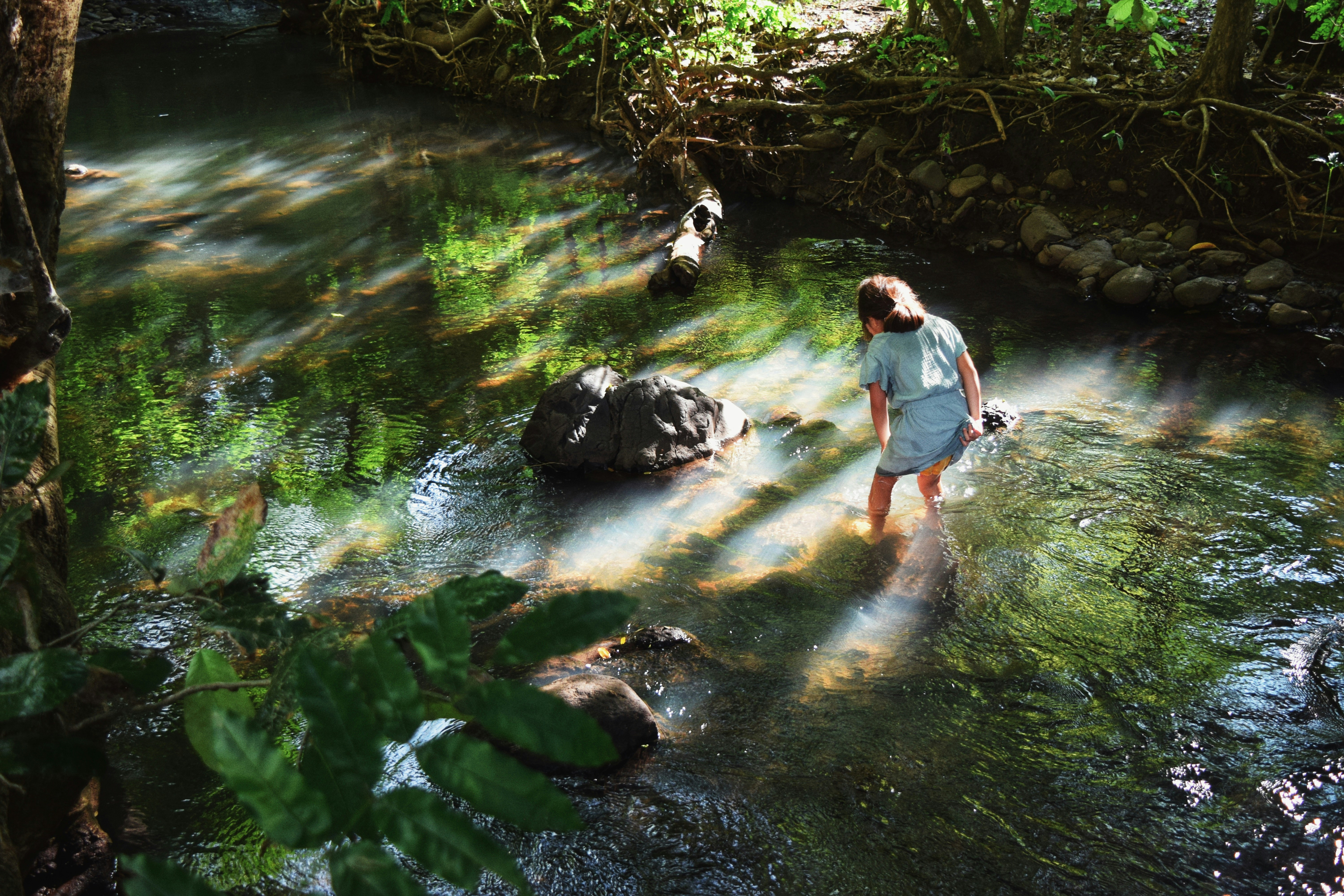 A person standing in a stream of water photo – Free Forest Image on ...