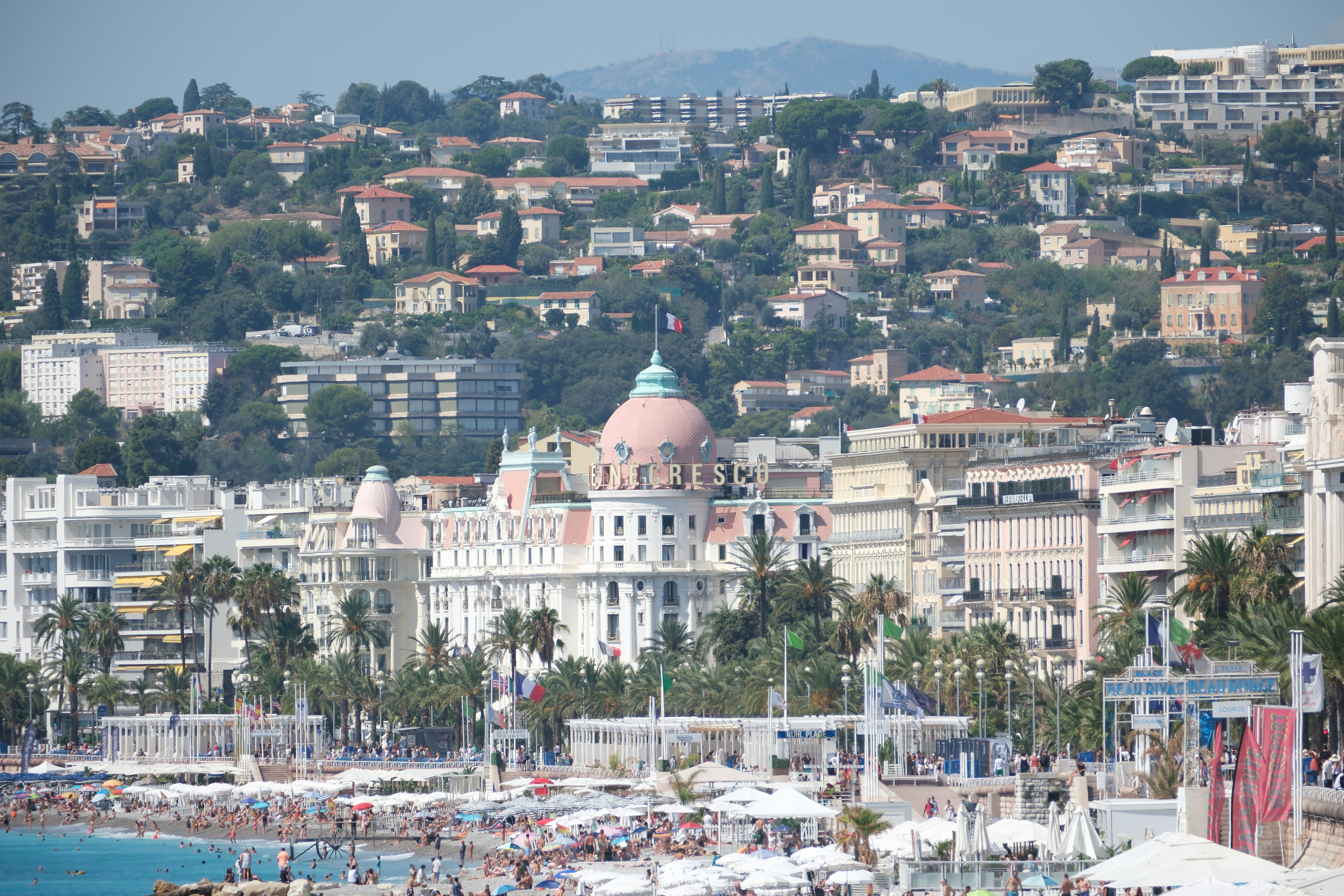 Pastel Dome Over a Palm-Lined Beachfront