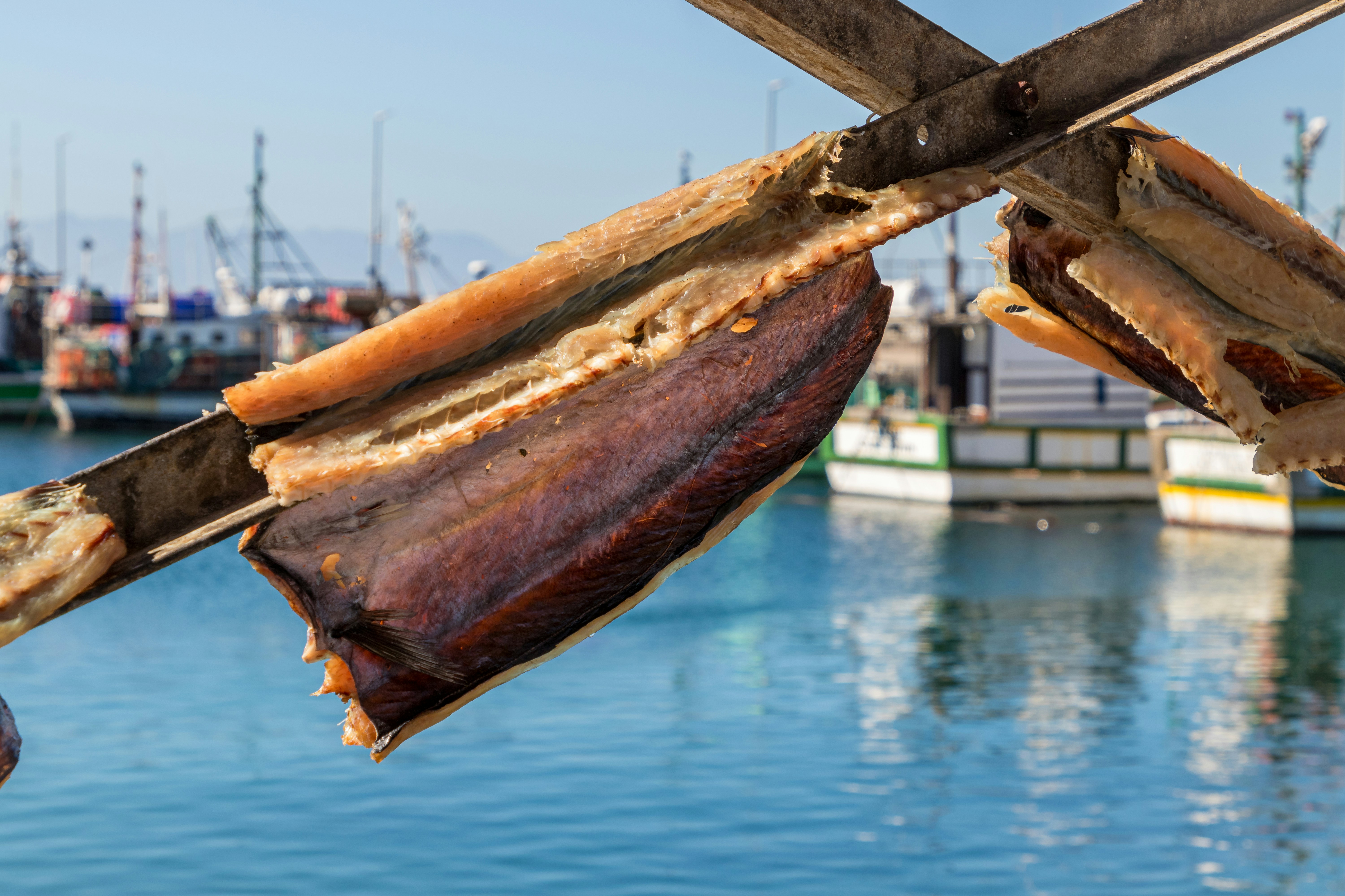 Crab-limb Overlay: Sunlit Crustacean on a Waterfront Rig