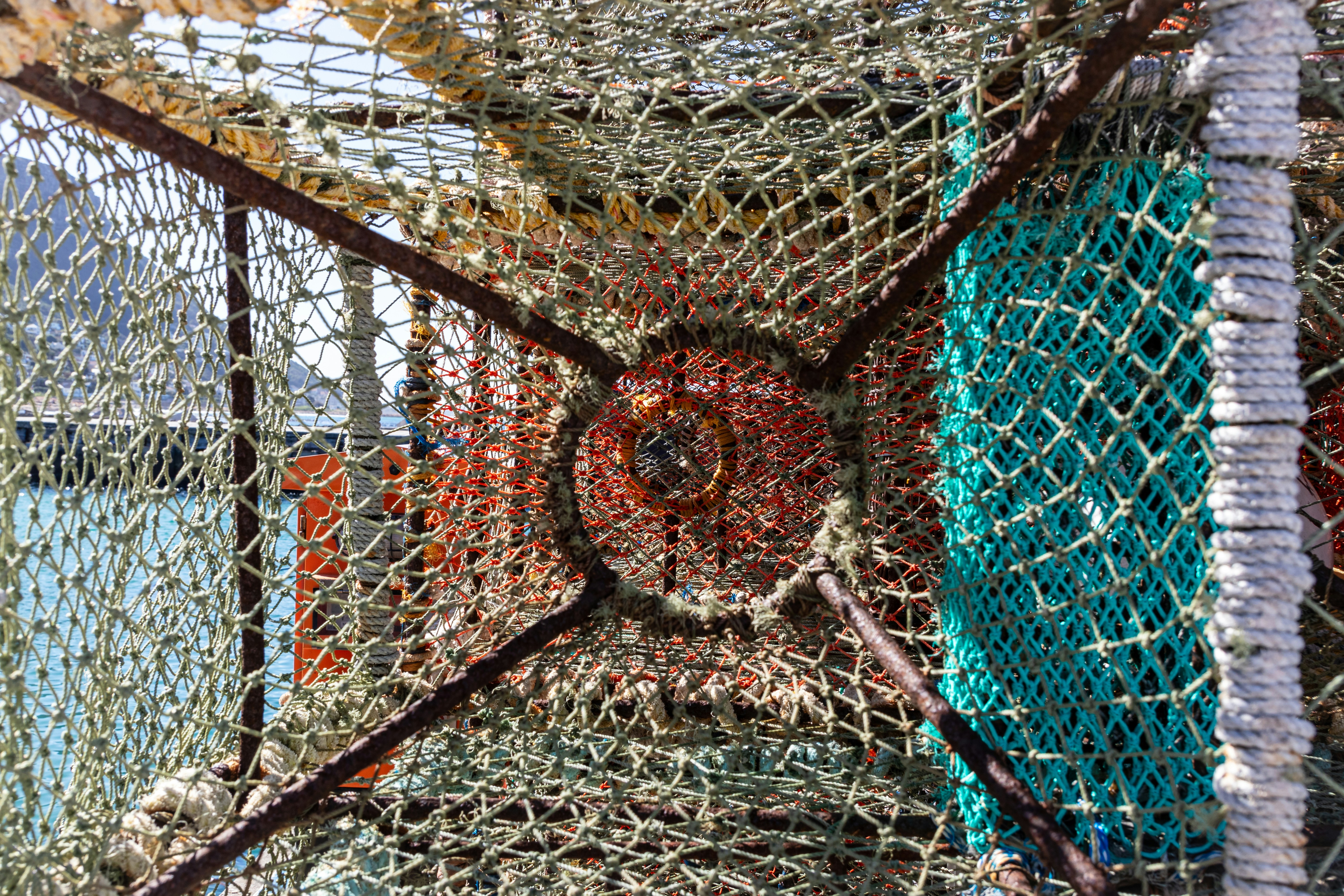 Circle of Rust: Inside a Crab Pot’s Weathered Mesh