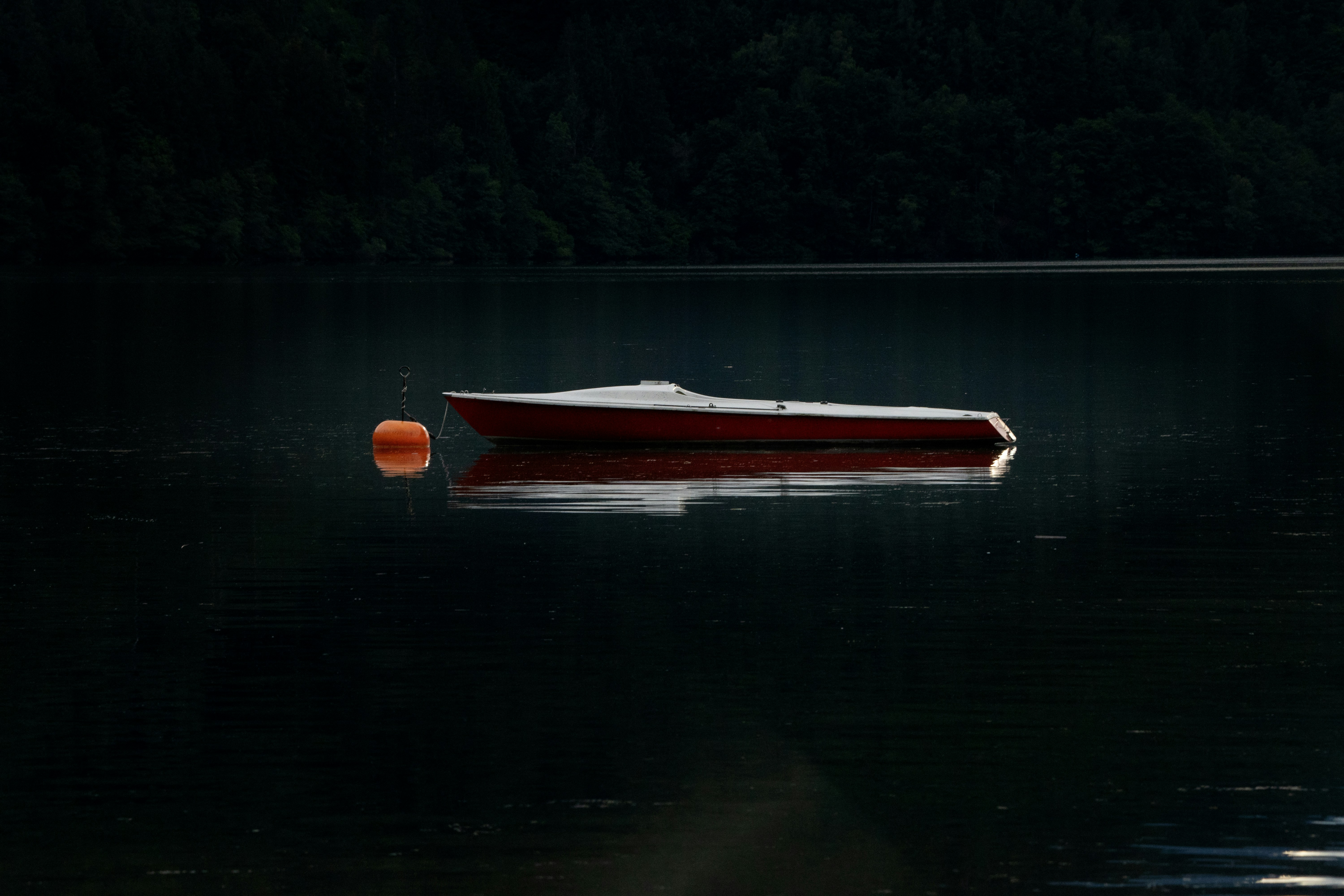 Red Boat on a Glassy Lake Beneath Shadowed Pines