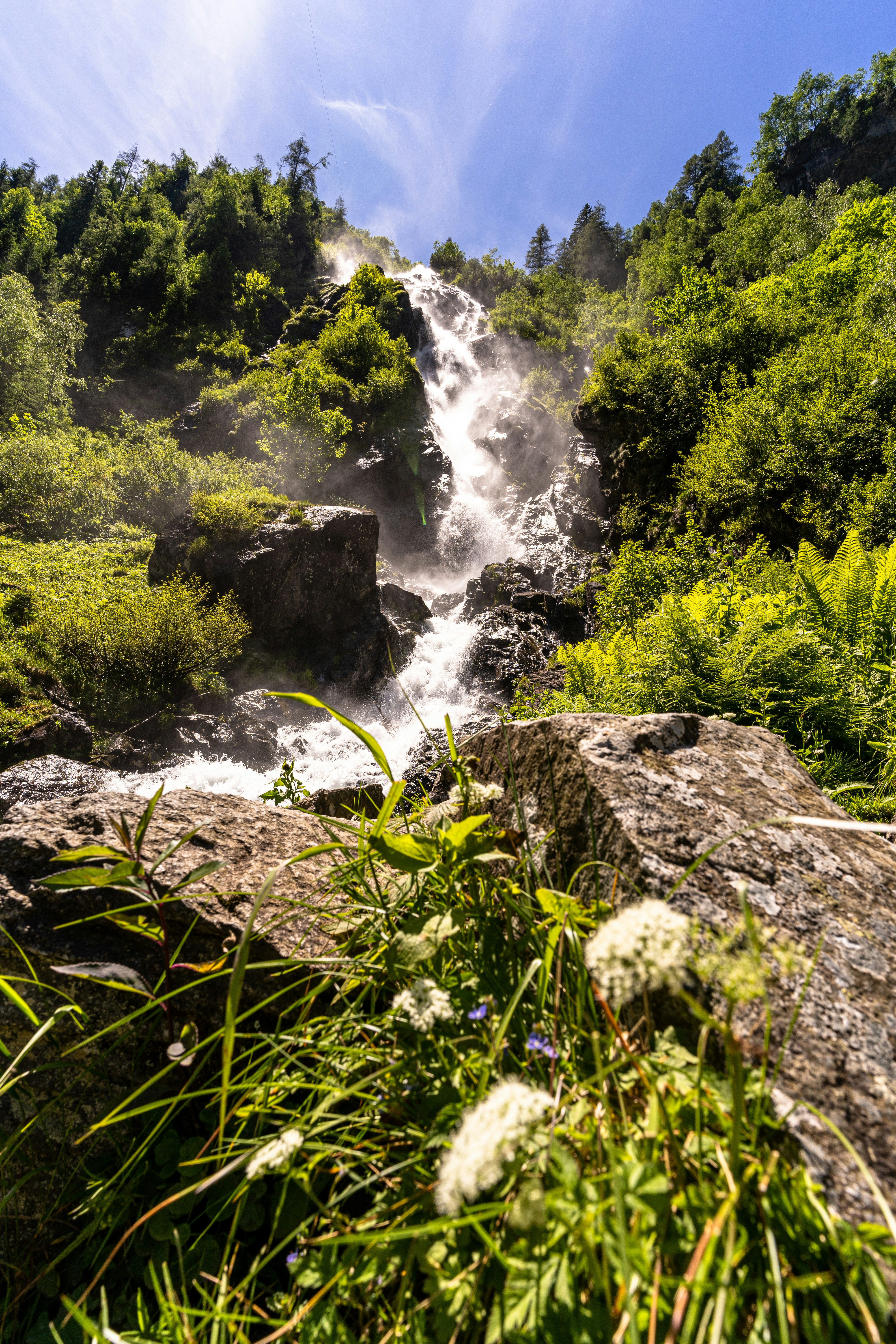 Photo by Hansjörg Rath with Sony Alpha 7 III