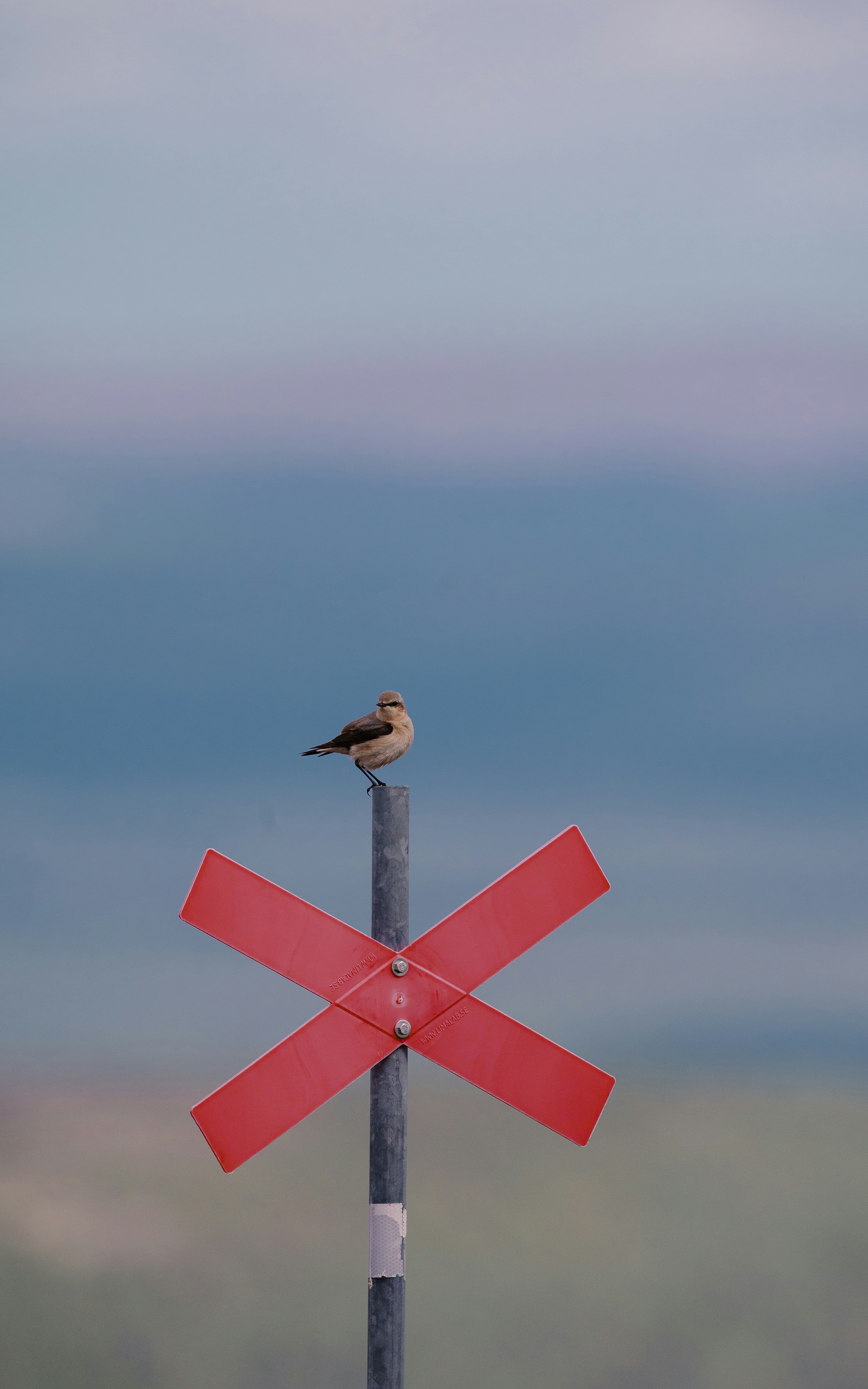 Lone Sentinel on a Red Cross Against a Pale Blue Horizon