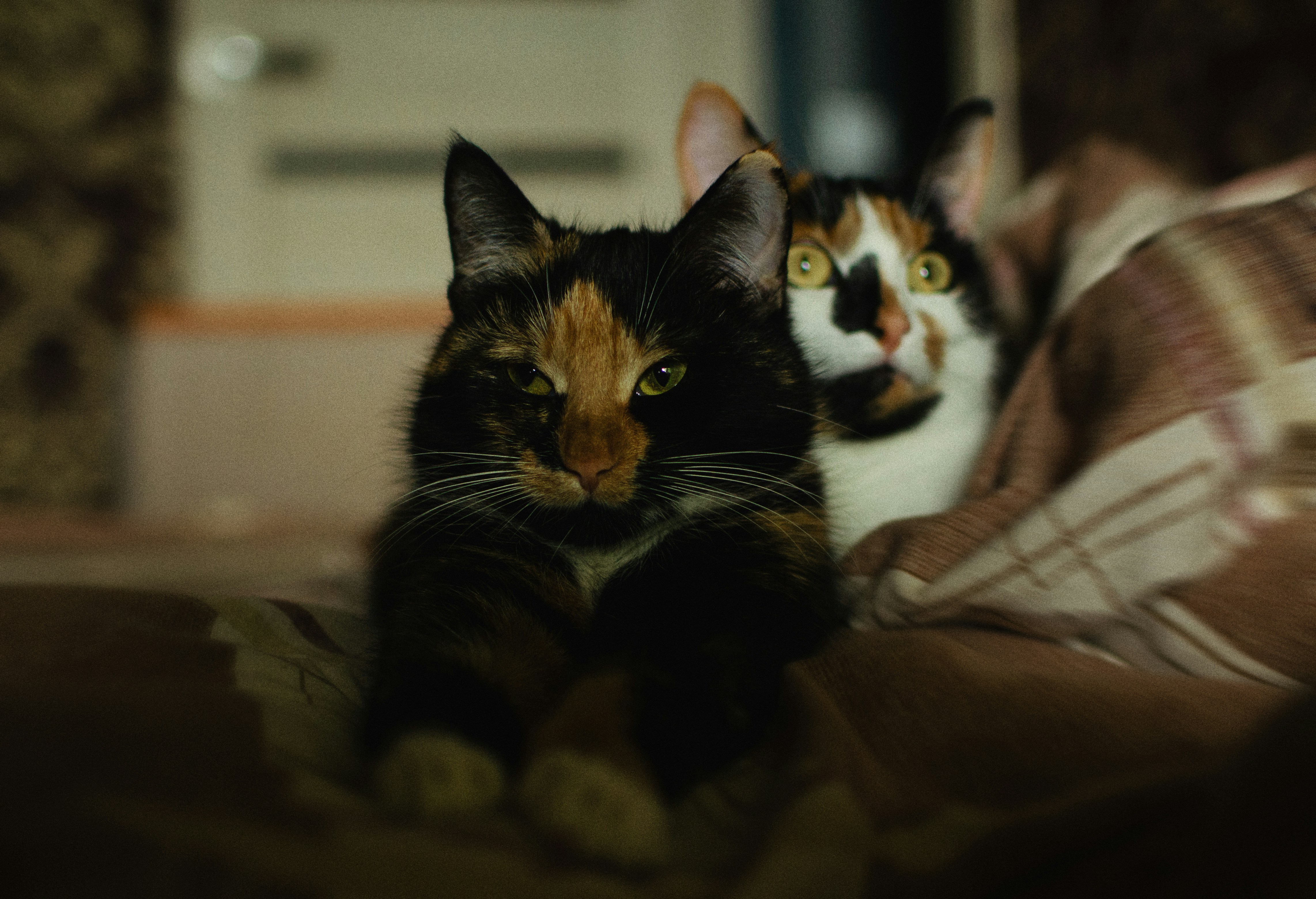 Photo by Vitaliy Shevchenko with Nikon D5100