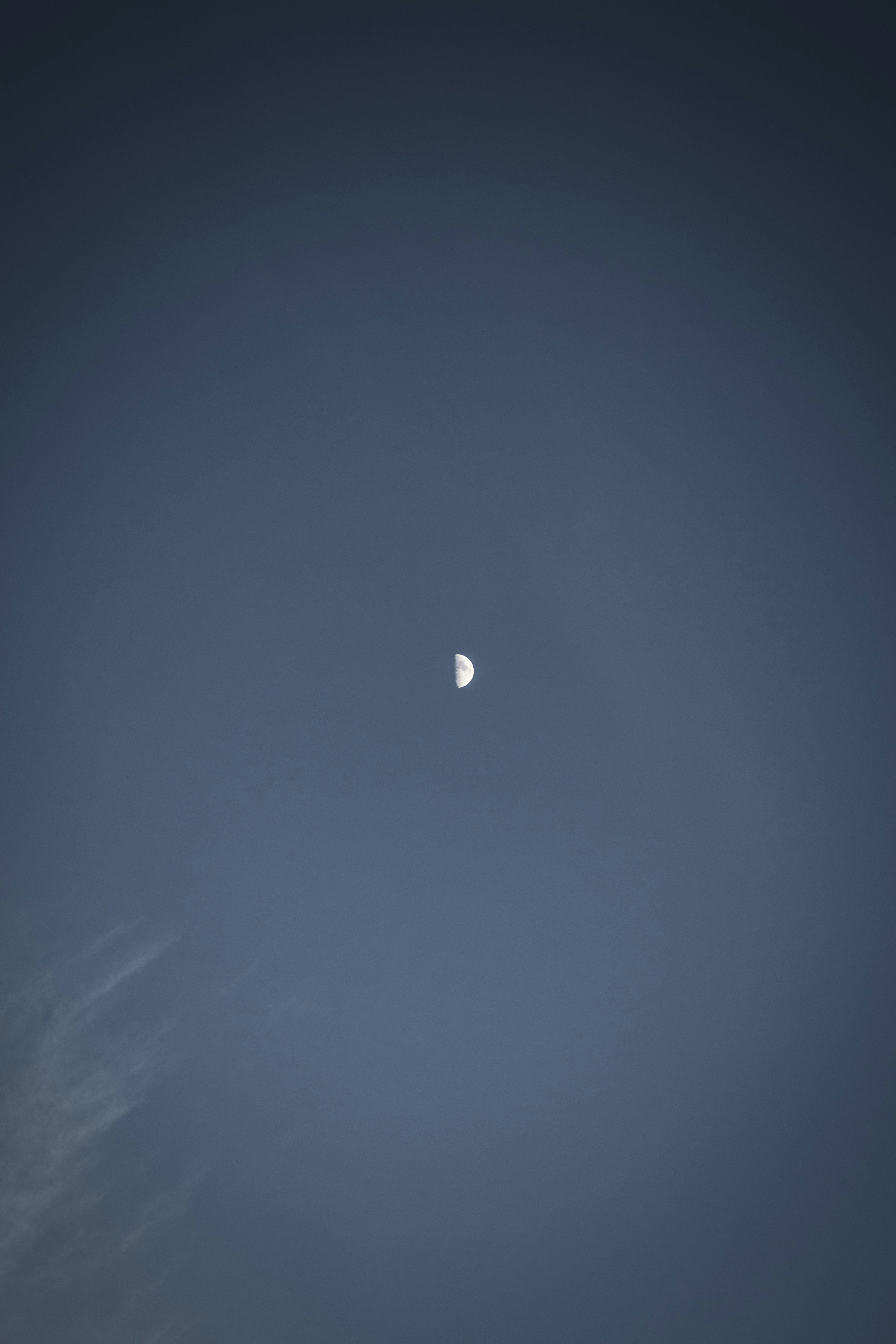 The moon is visible in the blue sky photo – Free Forest Image on Unsplash