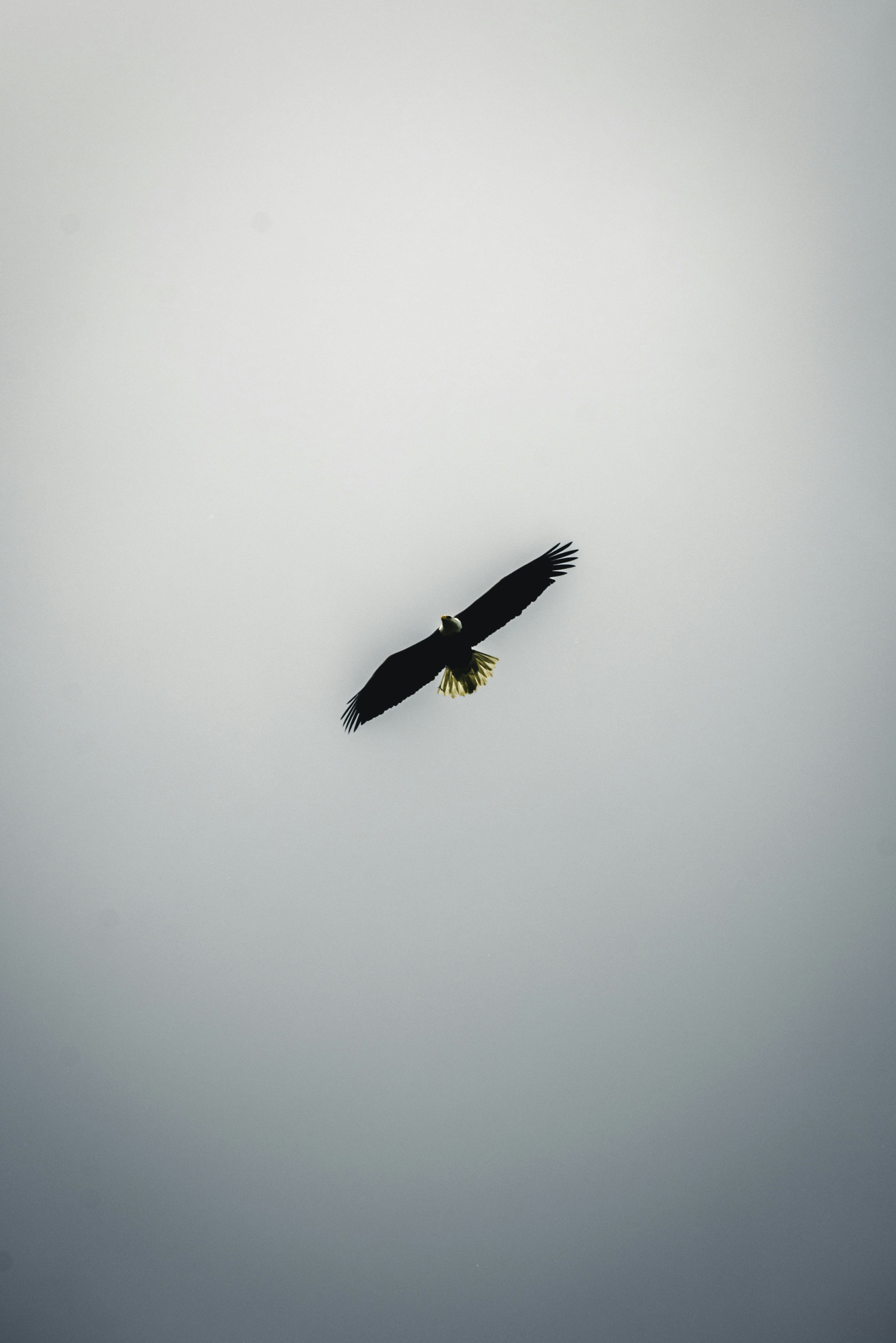 Cottage days in Golden, BC