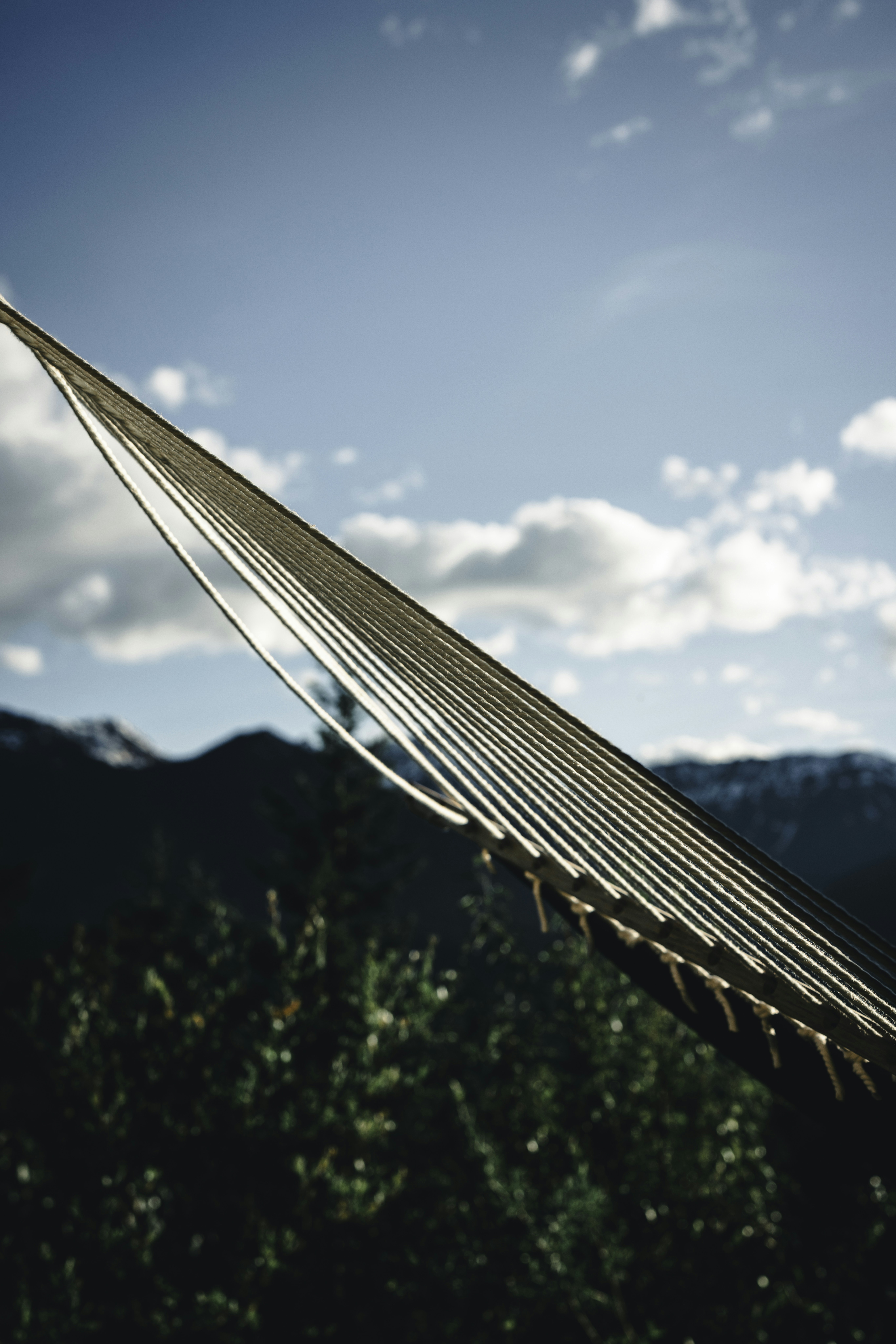 Alpine Ribbon: Sunlit Cables Spanning a Mountain Gorge
