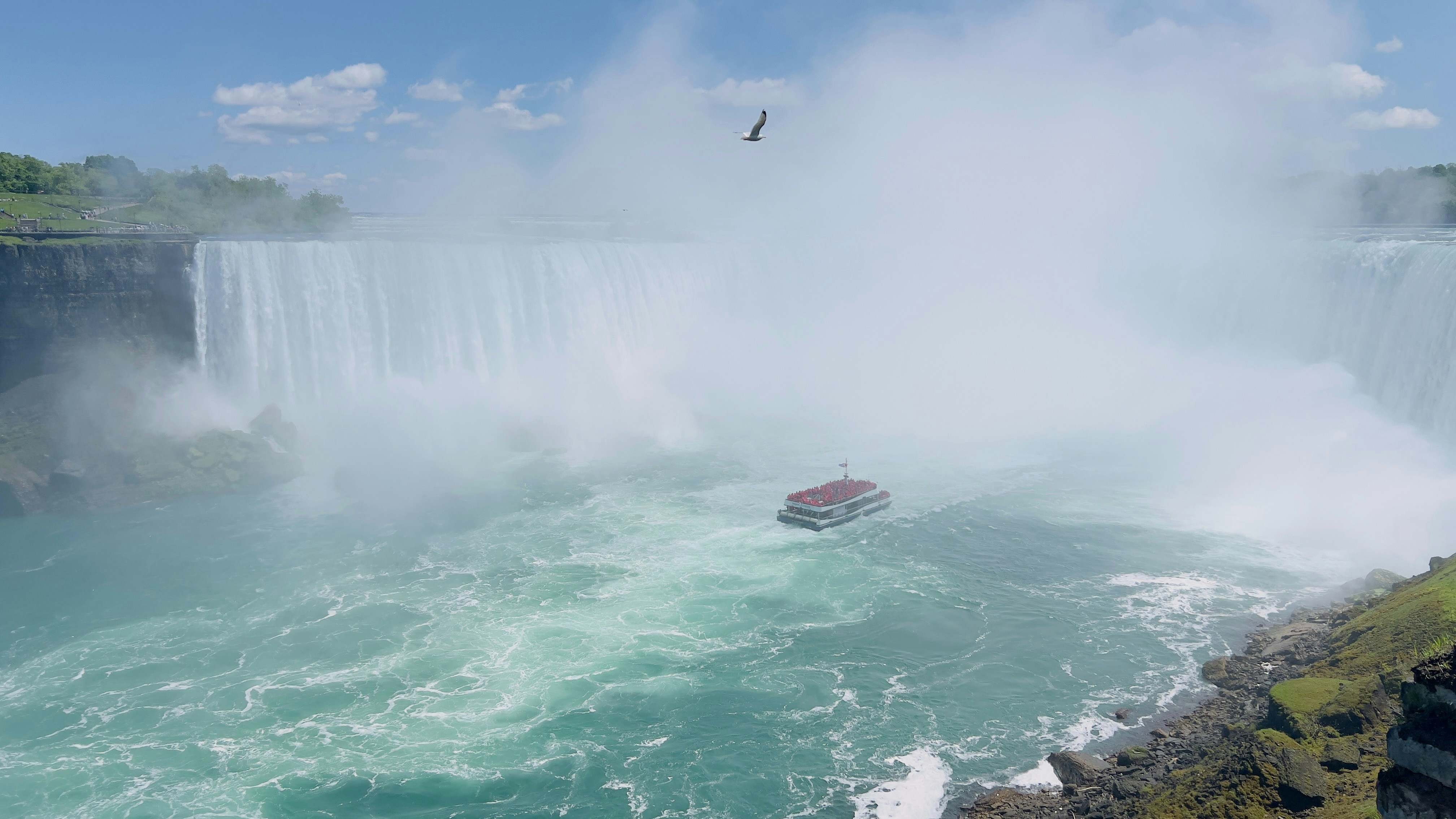 Niagara Falls, a boat and a bird flying