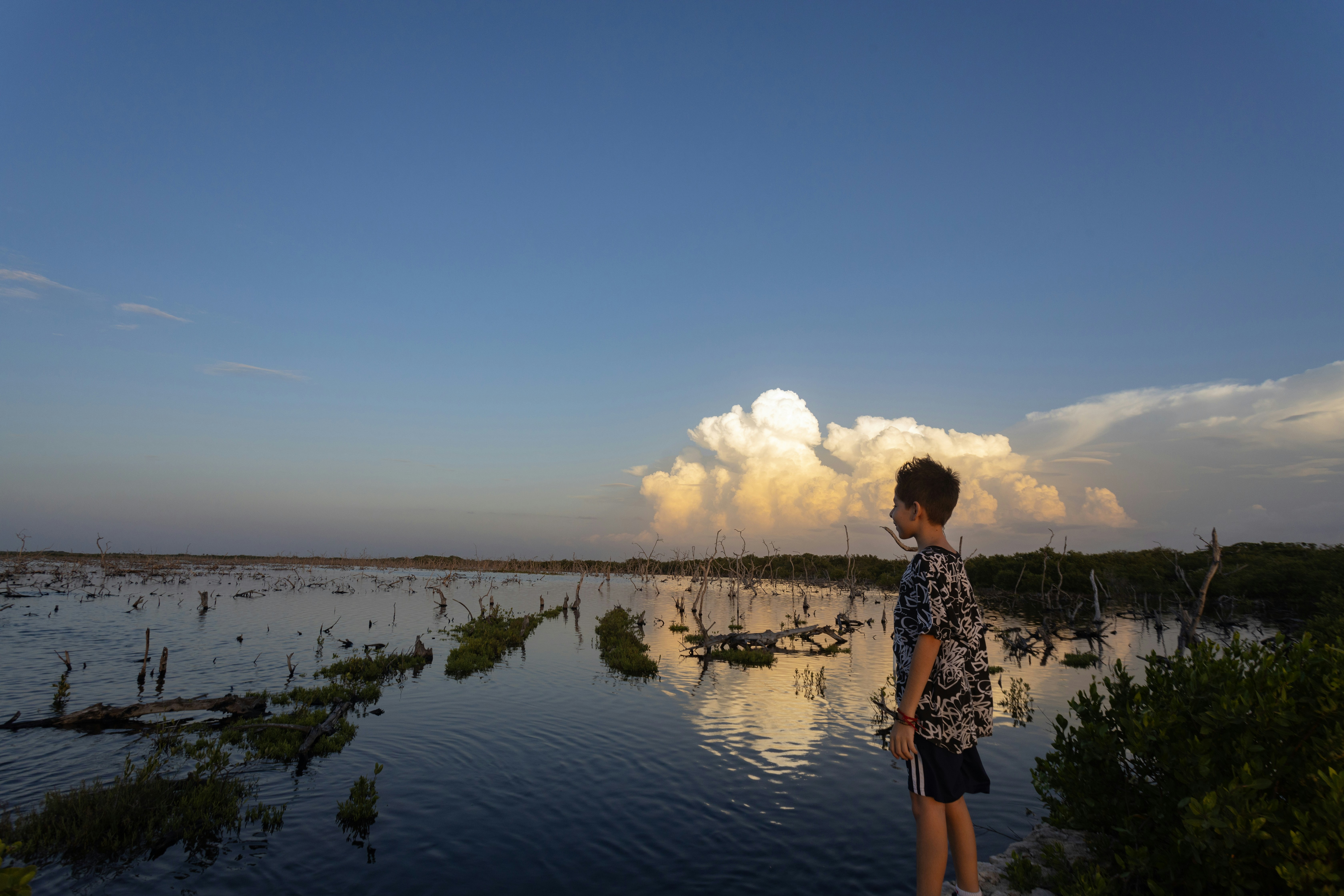 Marshbound Gaze: A Boy at the Quiet Edge of a Sunset Wetland