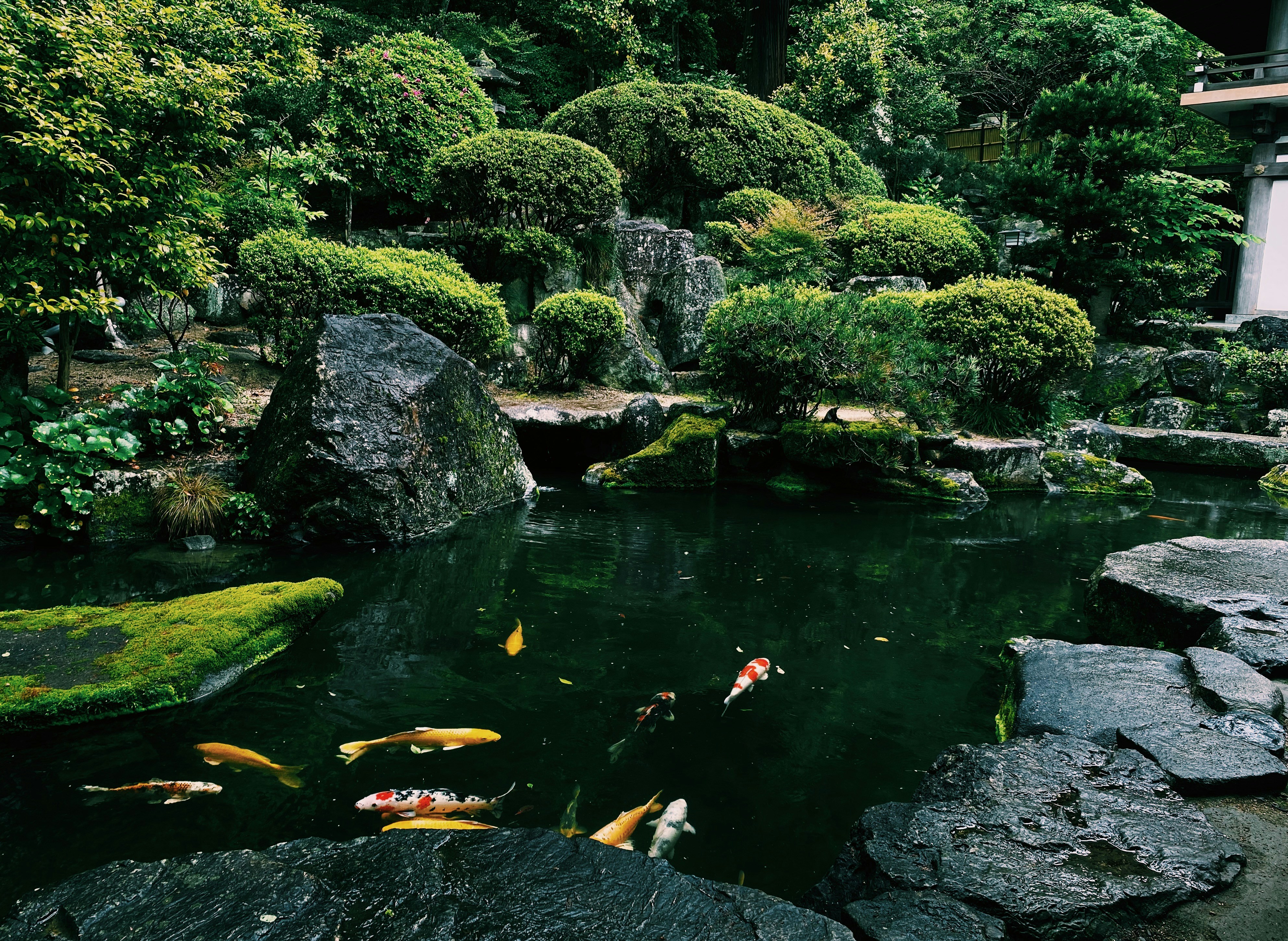 A small pond surrounded by rocks and trees photo – Free Japan Image on ...