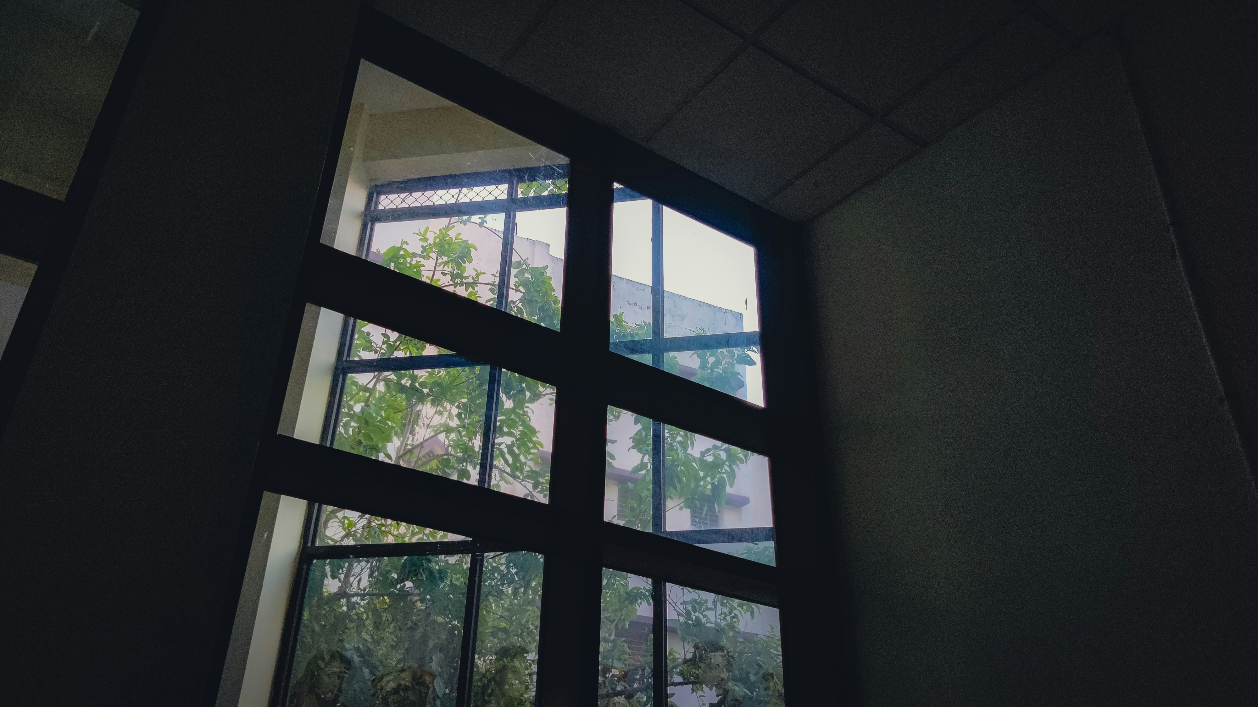 An open window with a view of trees outside photo – Free Grey Image on ...