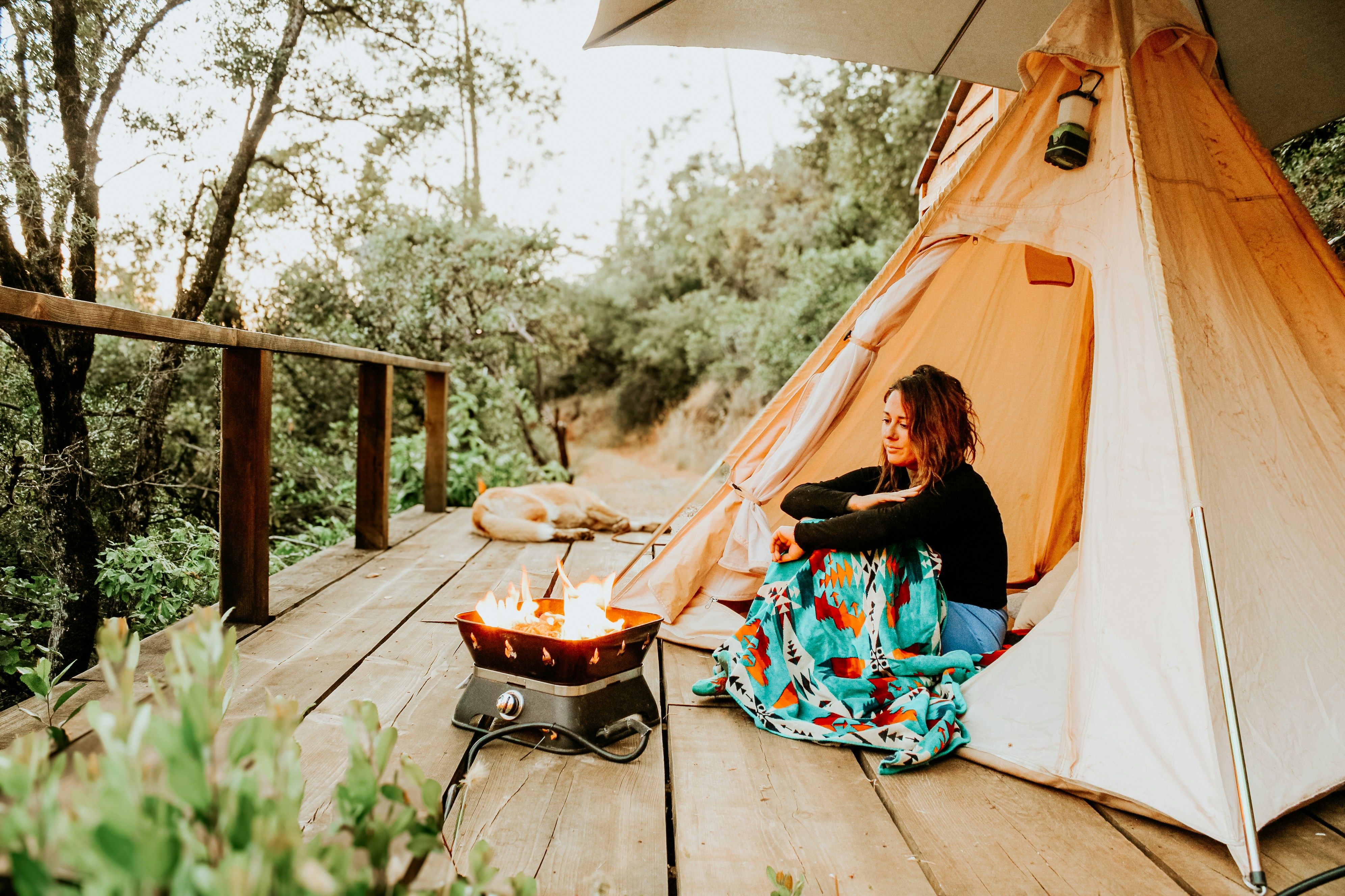 Fireside Pictures | Download Free Images on Unsplash