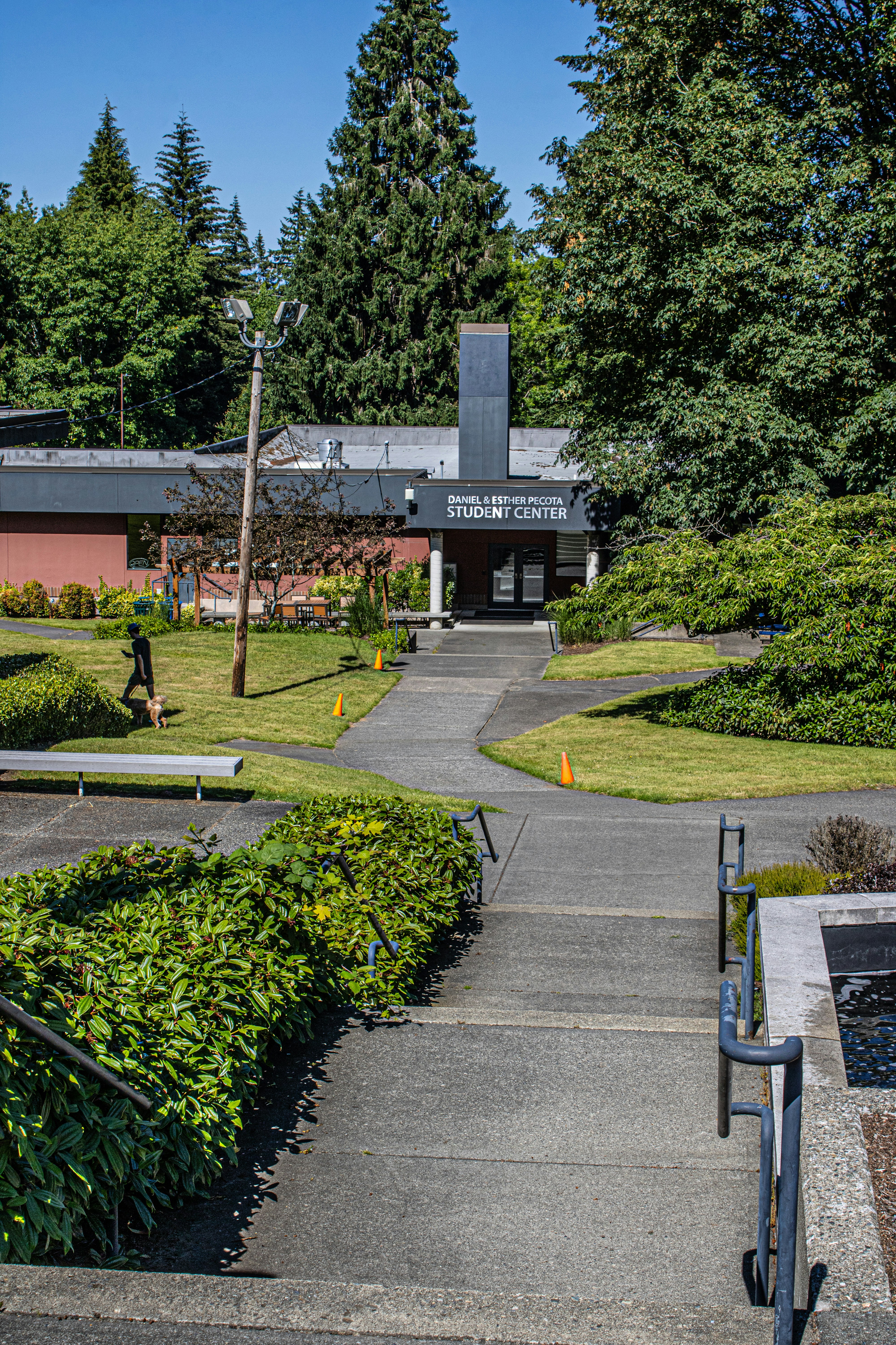 Photo by Peter Robbins with Canon EOS 2000D