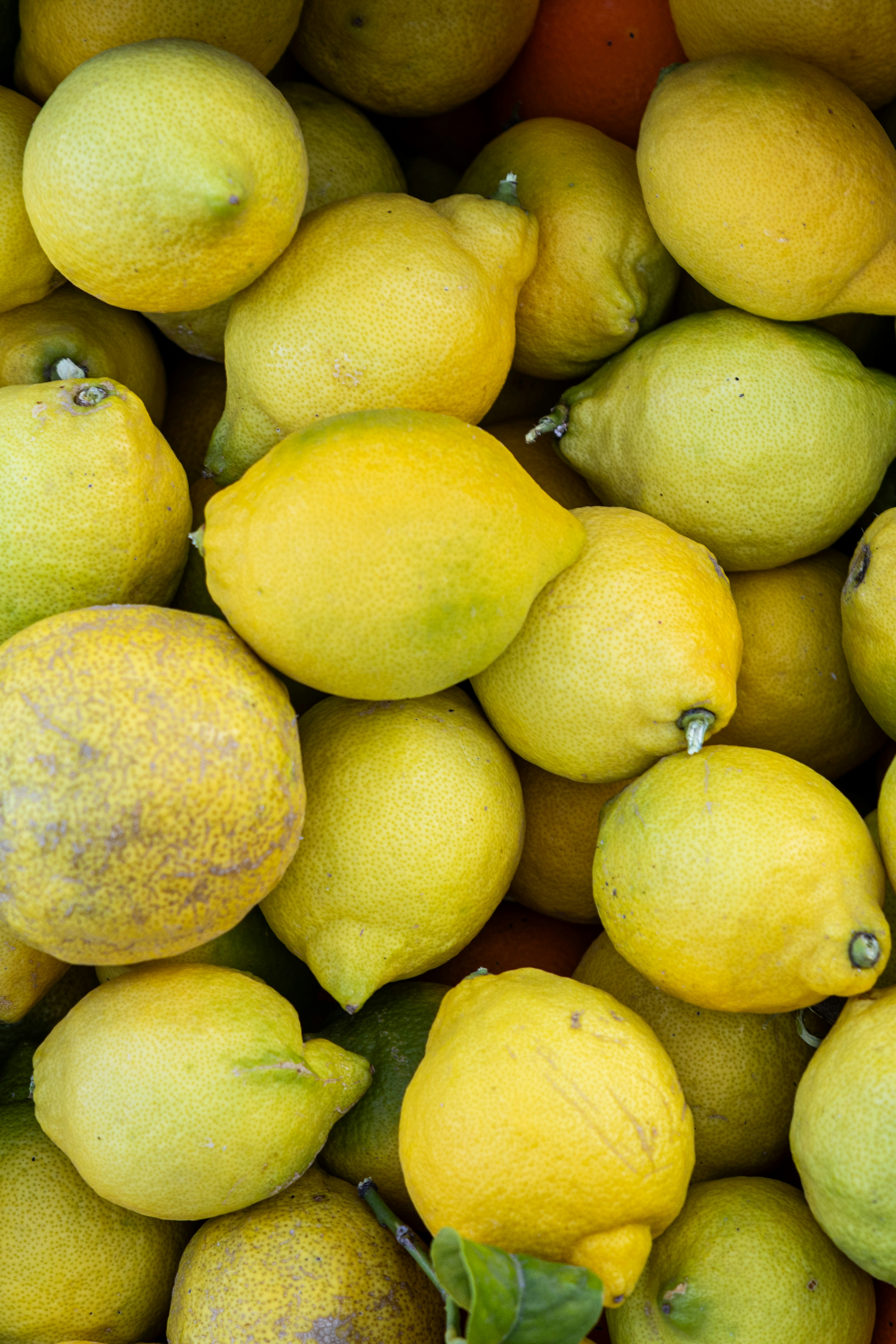 A pile of lemons and lemons sitting next to each other photo – Free ...