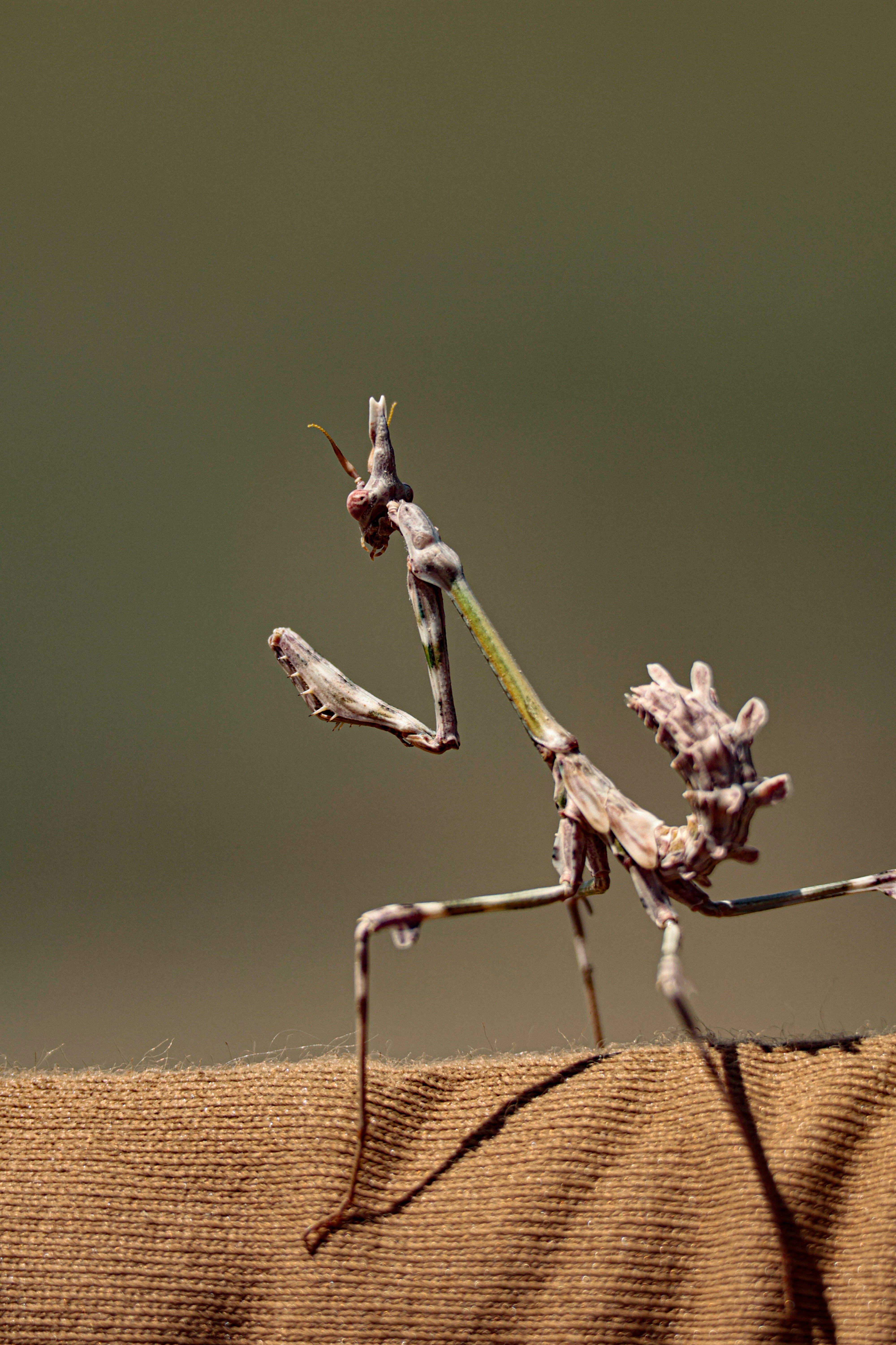 A praying praying praying praying praying praying praying praying ...