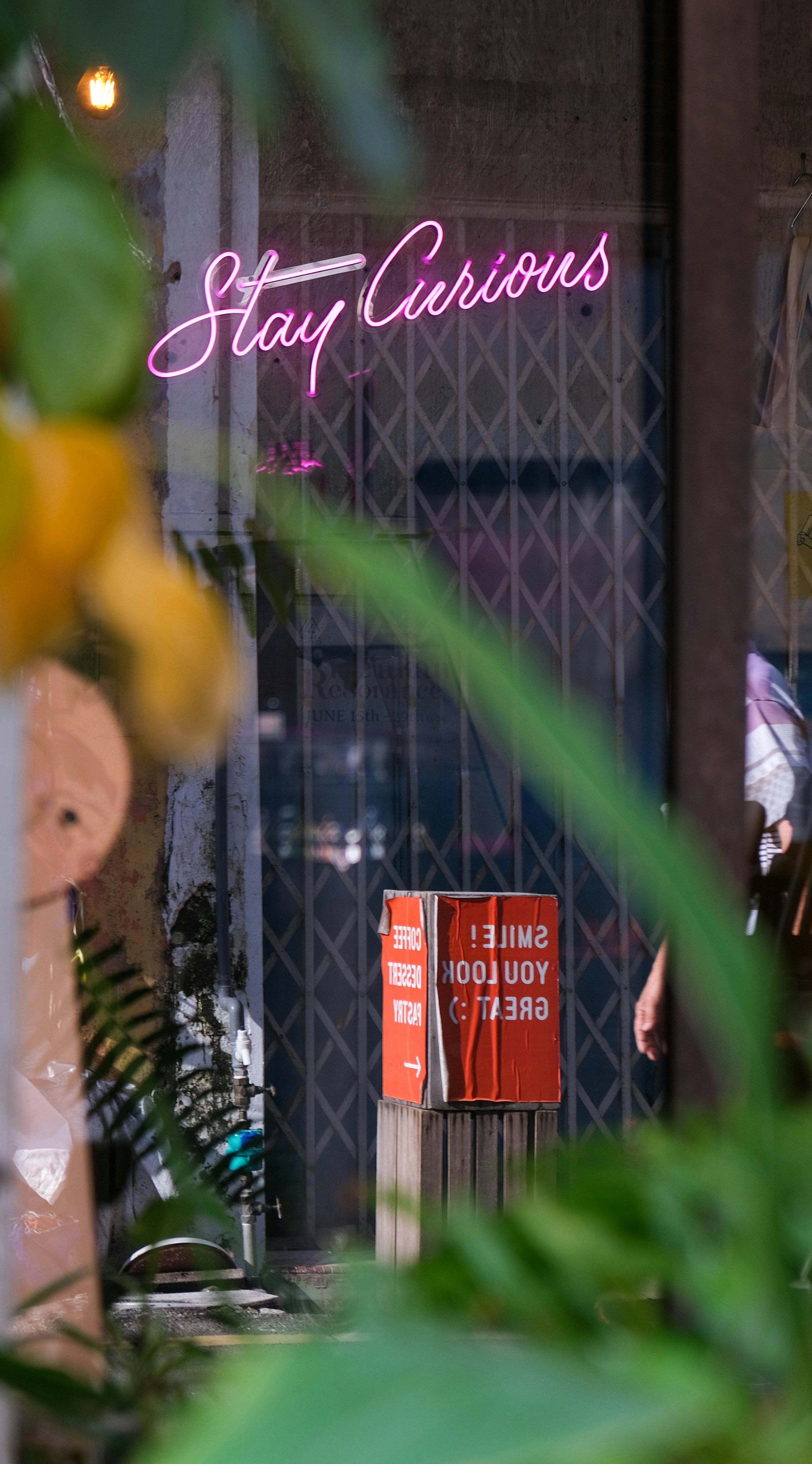 Stay Curious: Neon Script Framed by Steel Lattice