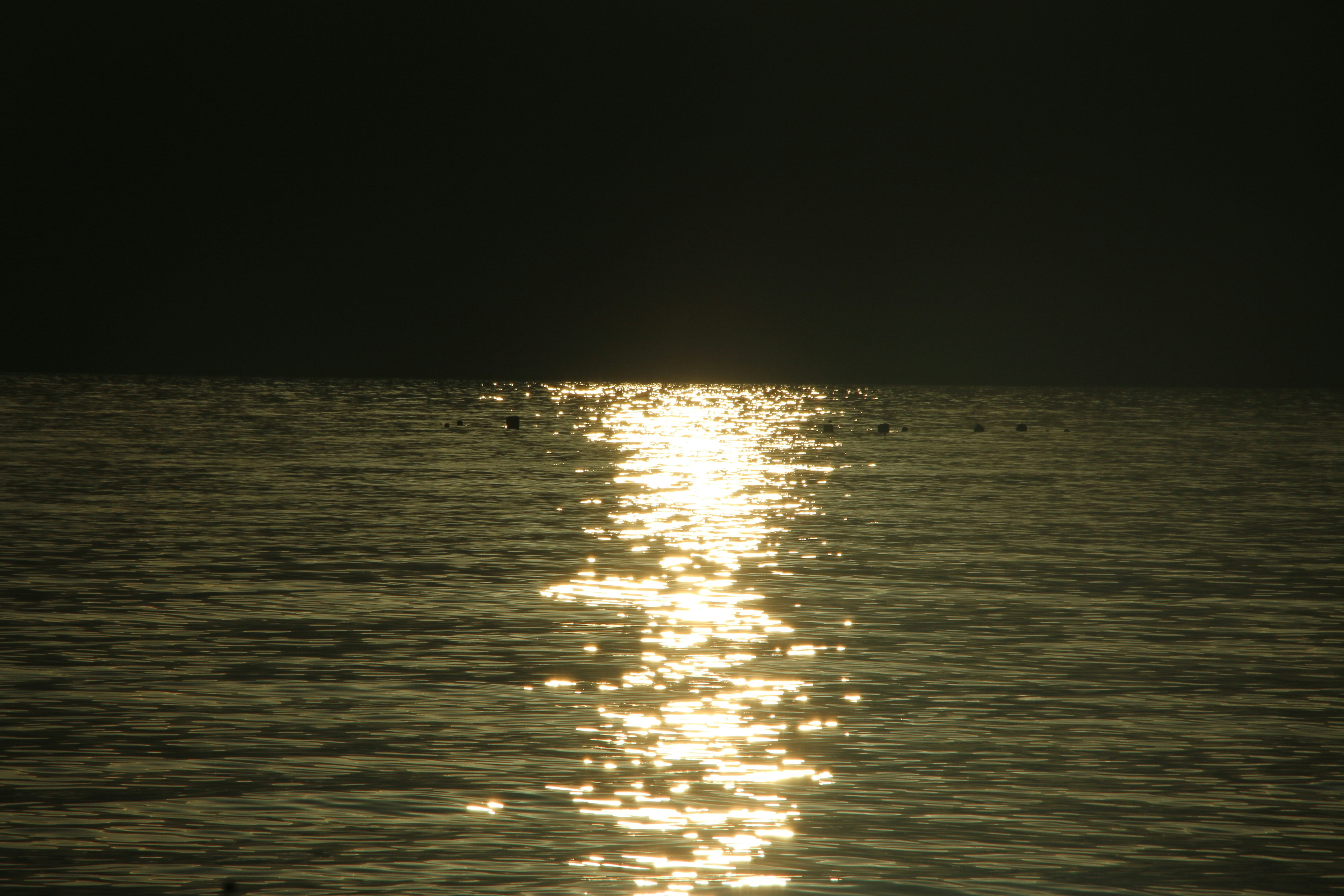 A body of water with the sun reflecting off of the water photo – Free ...