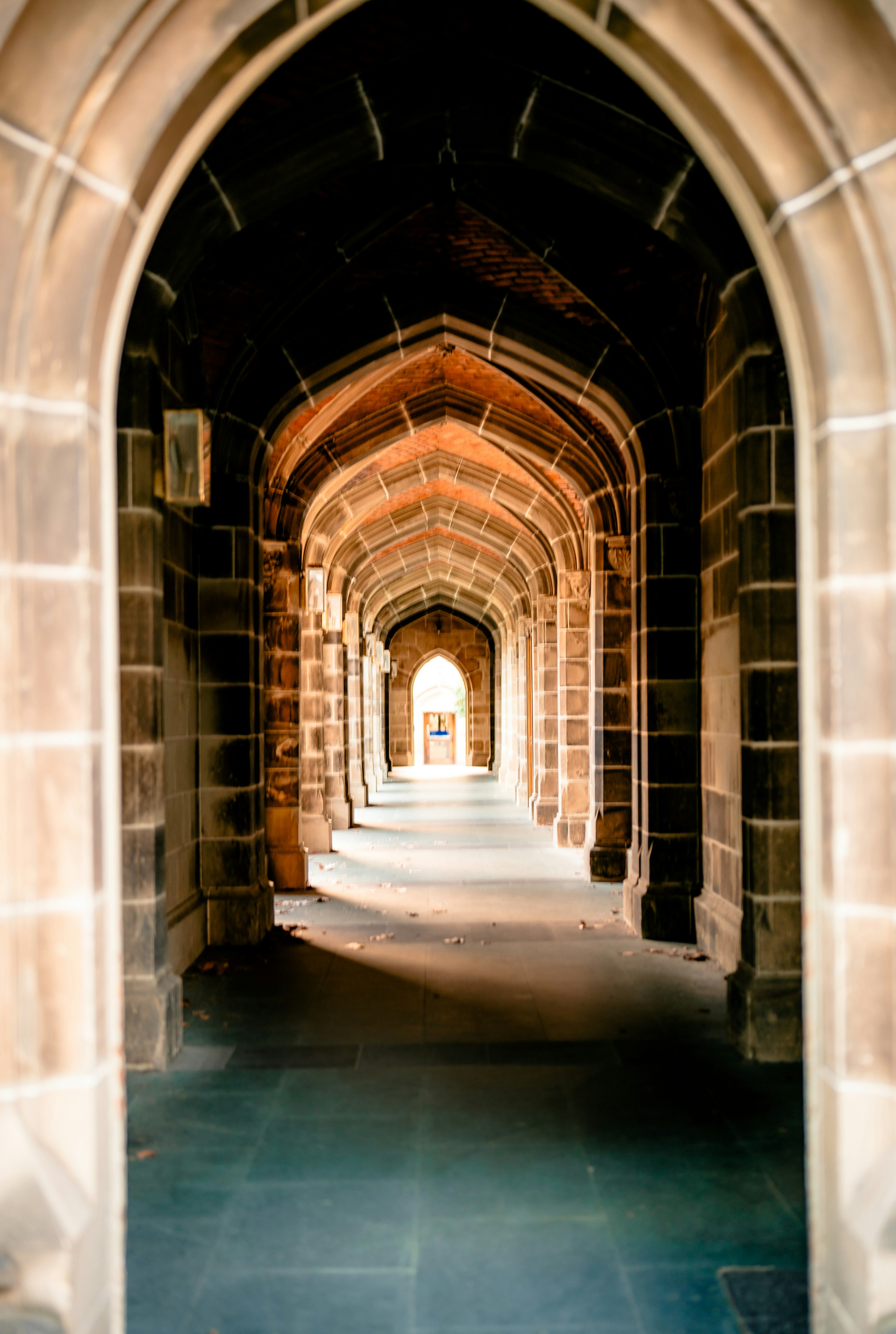 Photo by Madeline Liu with Sony Alpha 7 IV