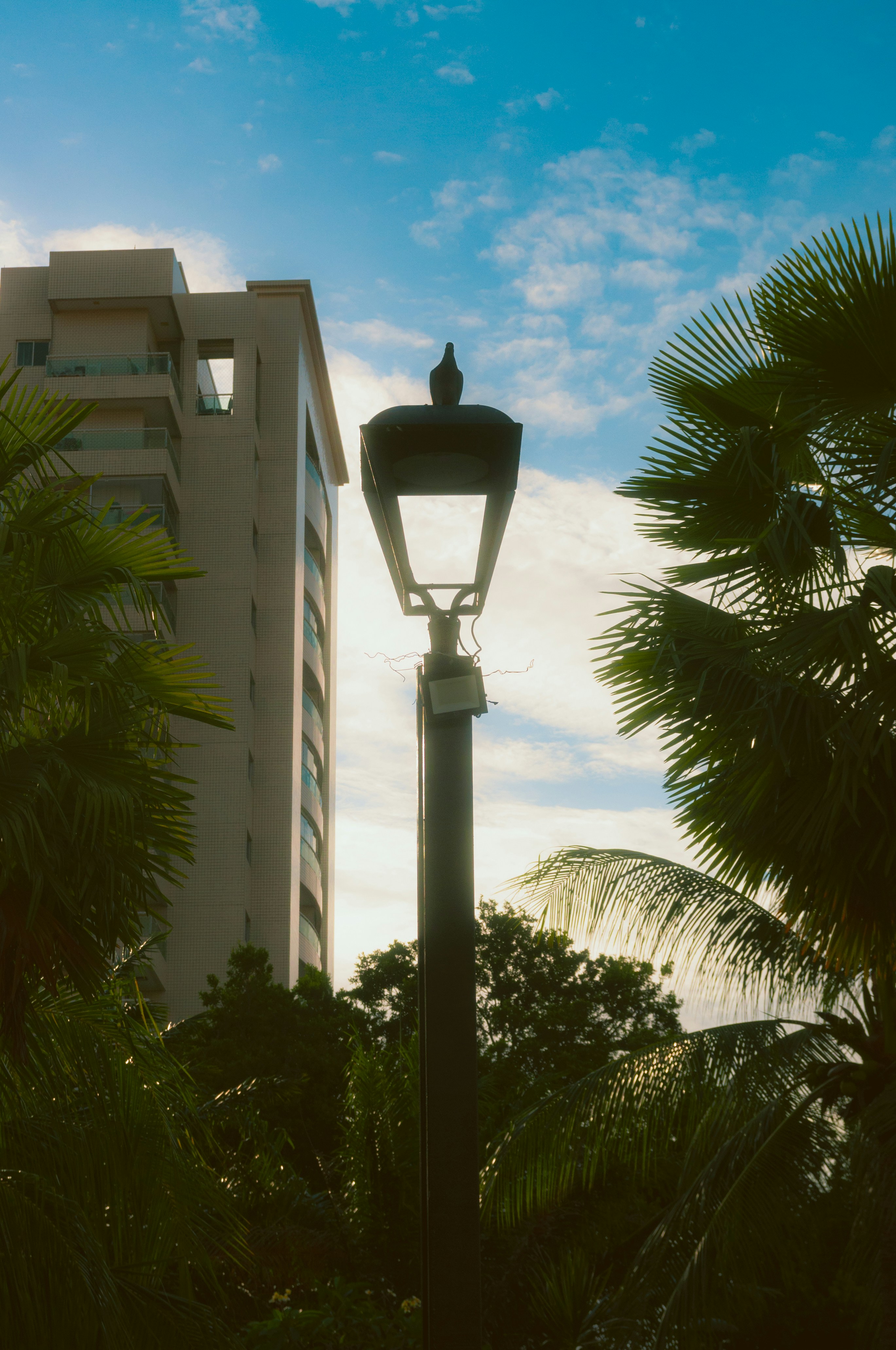 Vertical Lantern Framed by Modern Edges and Tropical Foliage