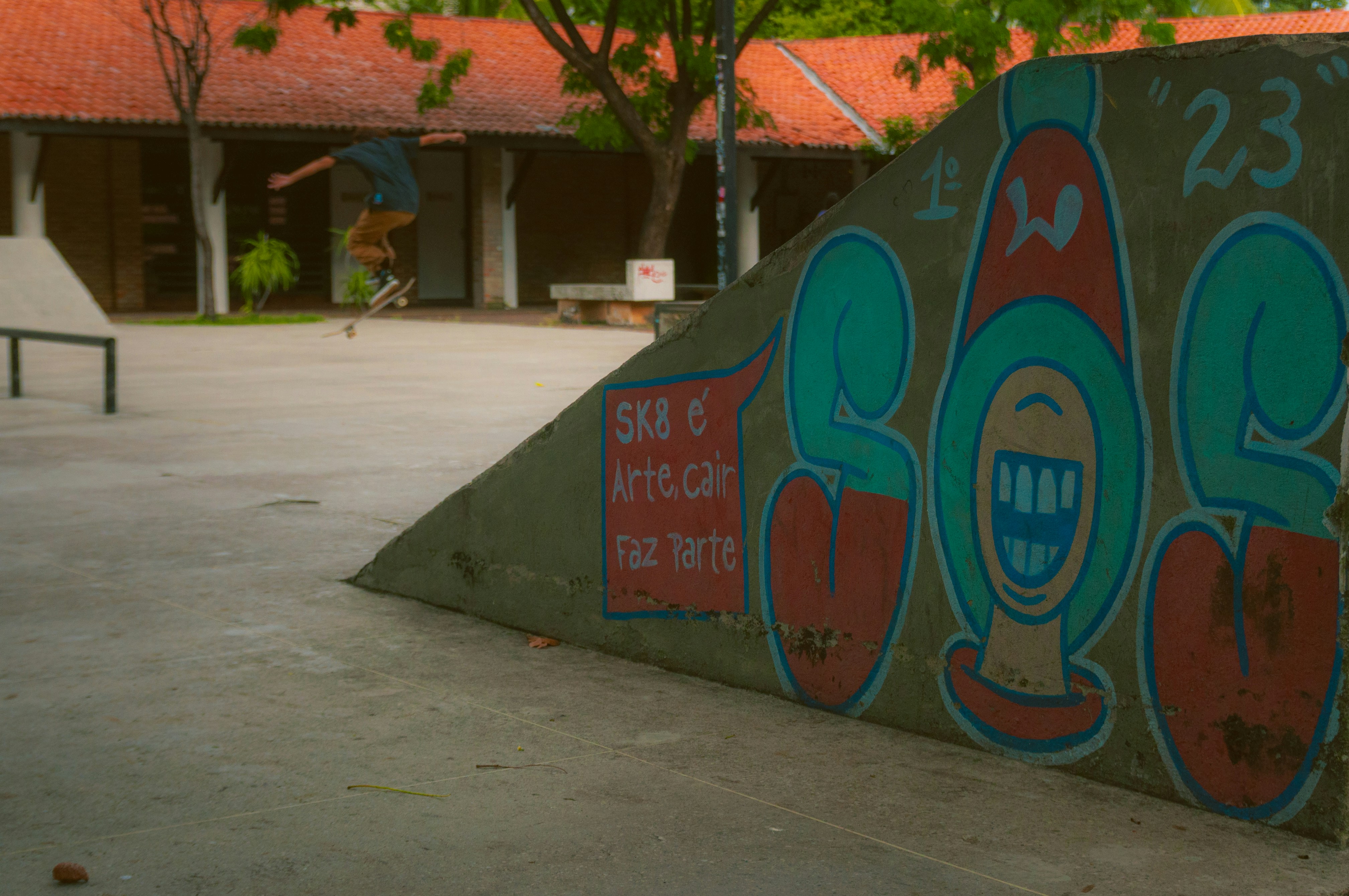 Flow Through the Concrete Gallery: Skater in a Graffiti Courtyard