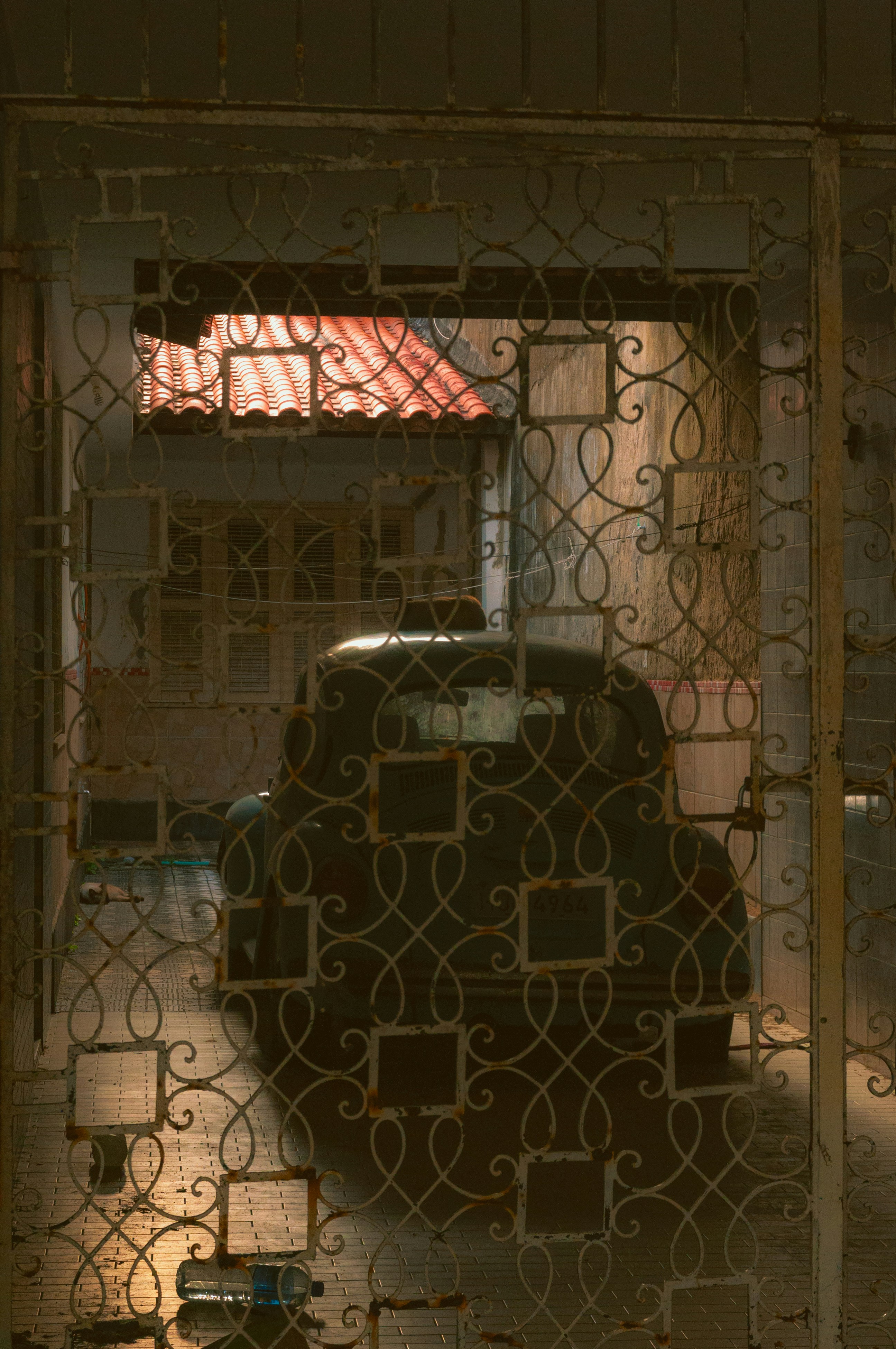 Wrought Iron Veil Reveals a Hidden Sedan