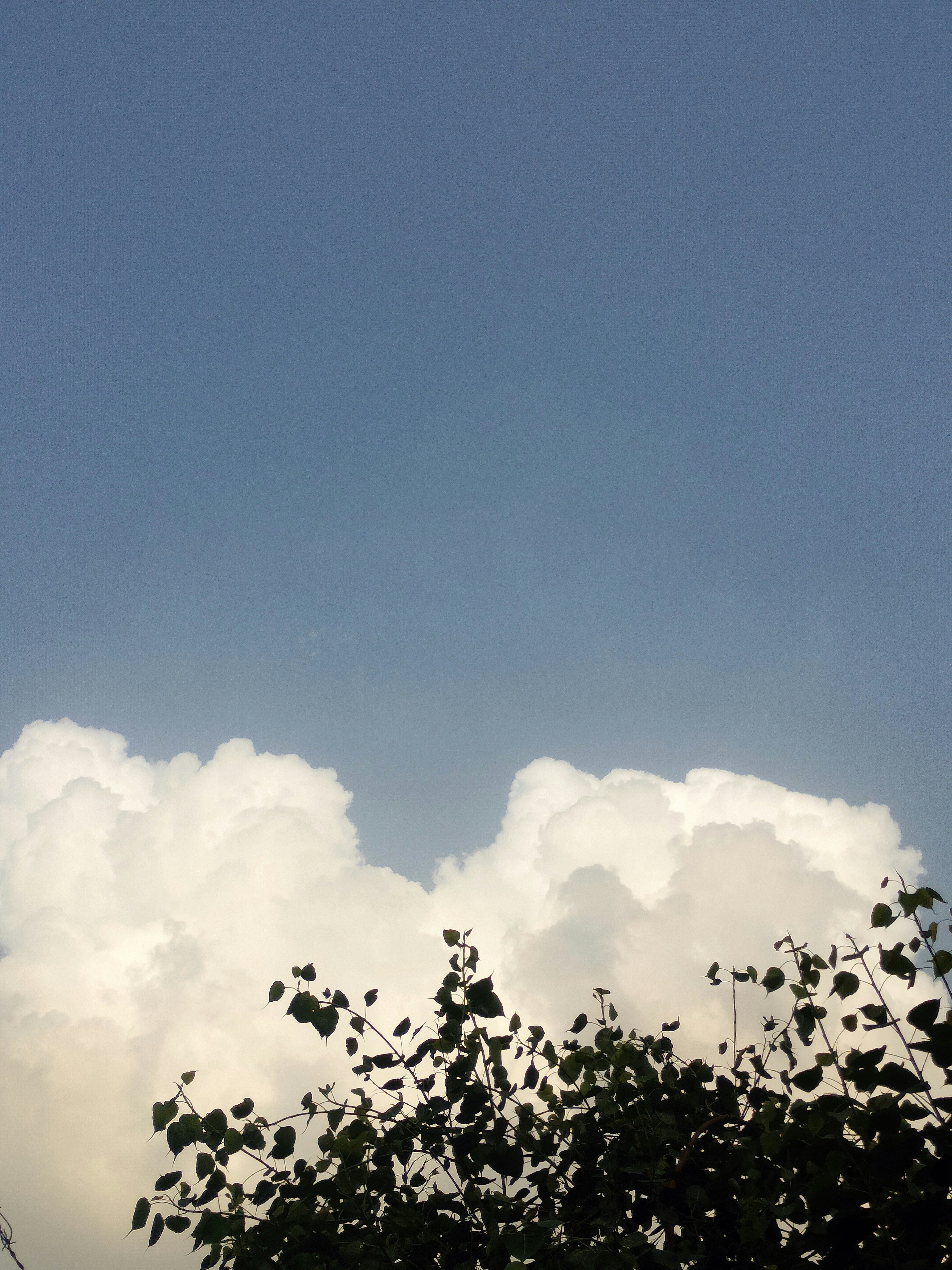 Sample photo from OnePlus Nord CE 2 Lite