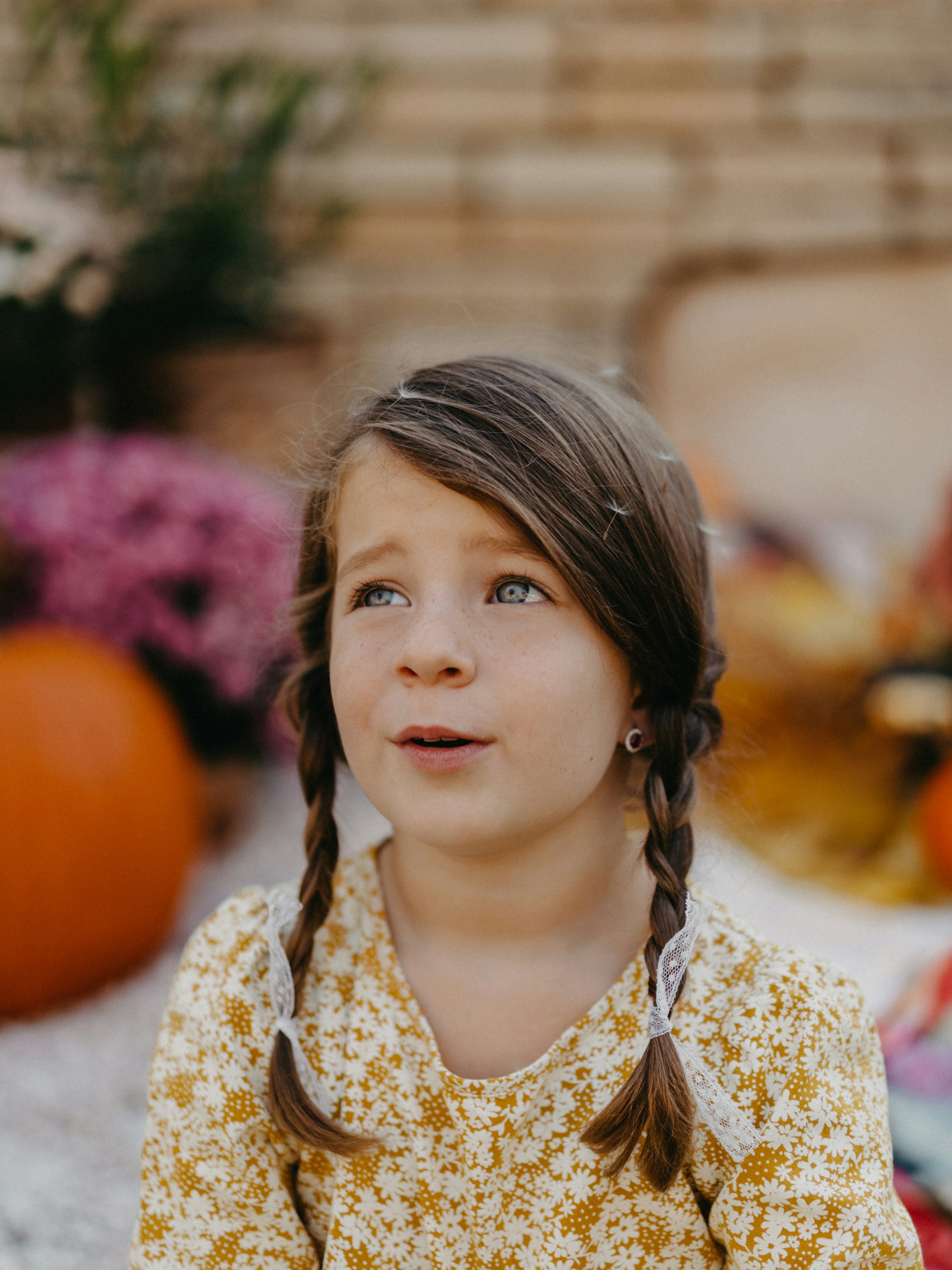 Gleam of Wonder in an Autumn Pumpkin Patch