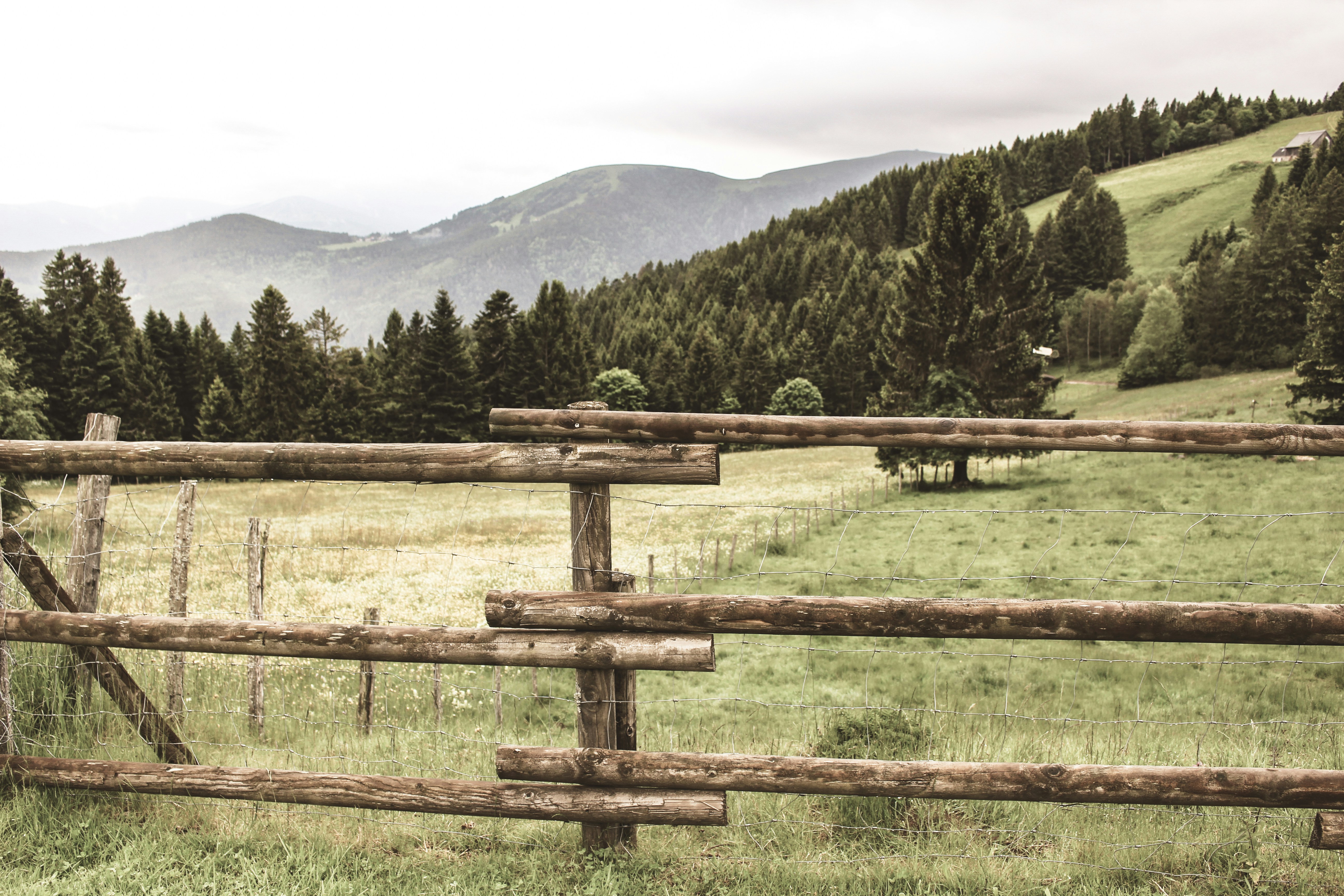A wooden fence in a grassy field with mountains in the background photo ...