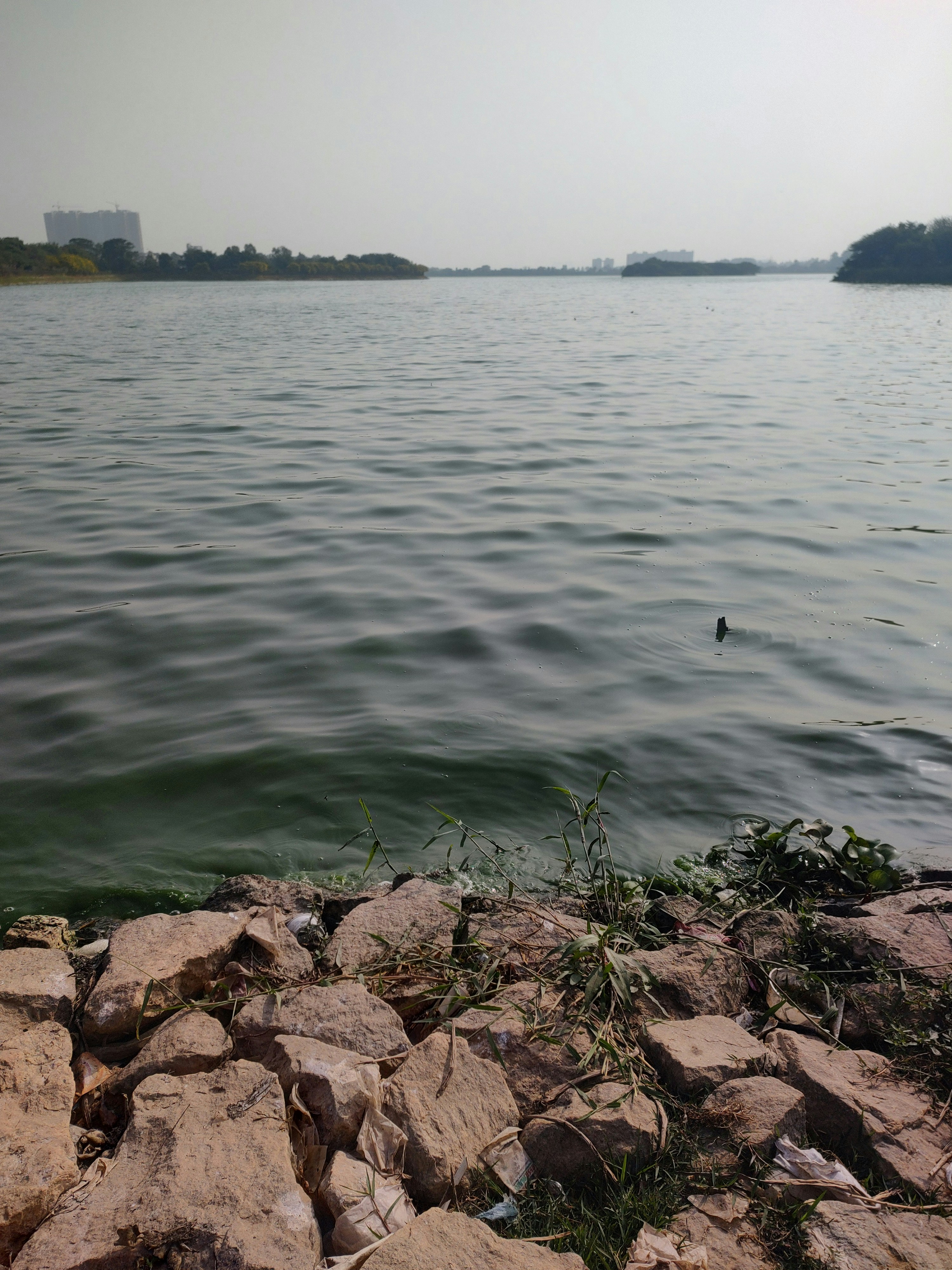 Calm lake stretches toward a hazy horizon. The foreground shows a rough, rocky shoreline with sparse grasses.