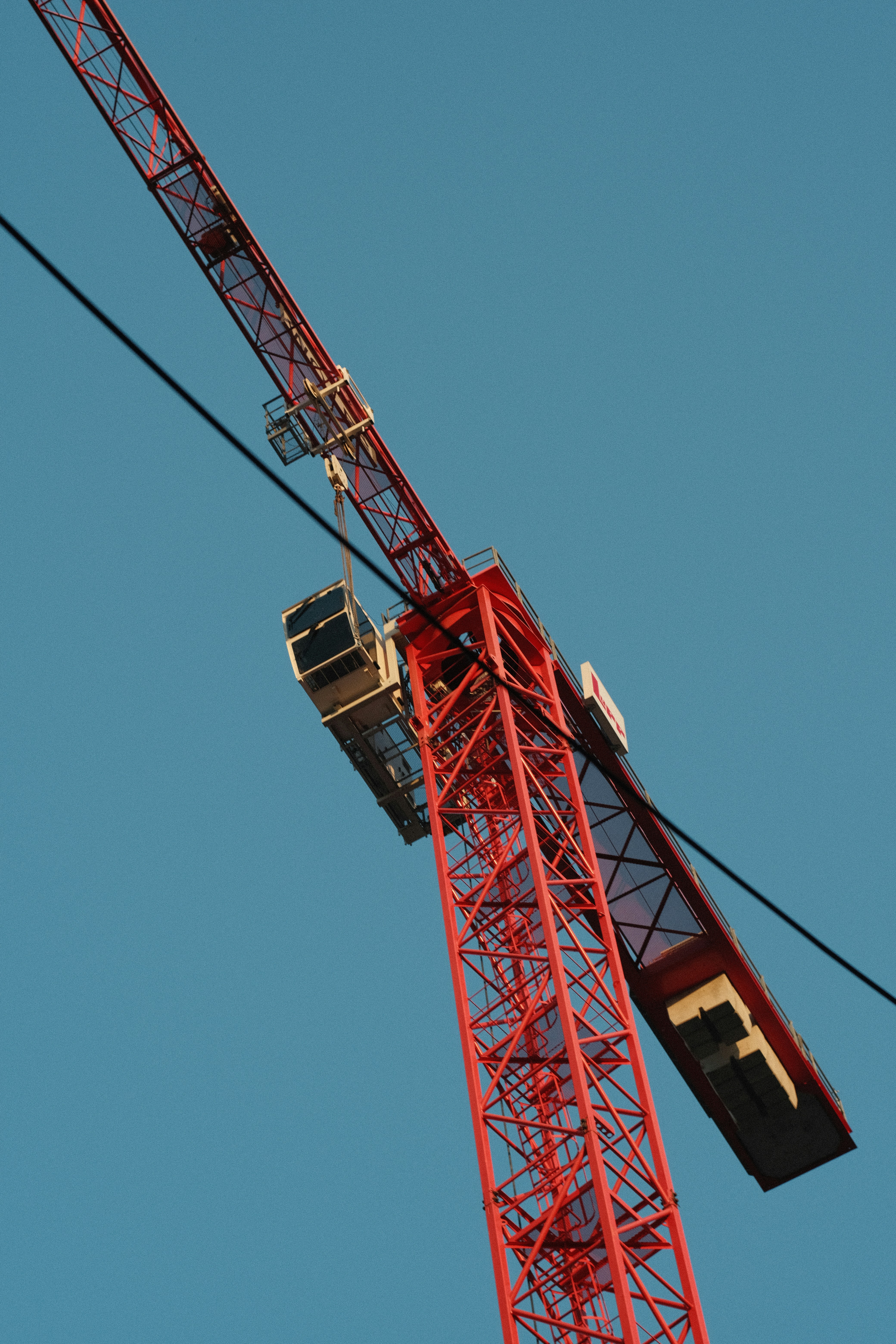 A bright red crane in the low sun.
