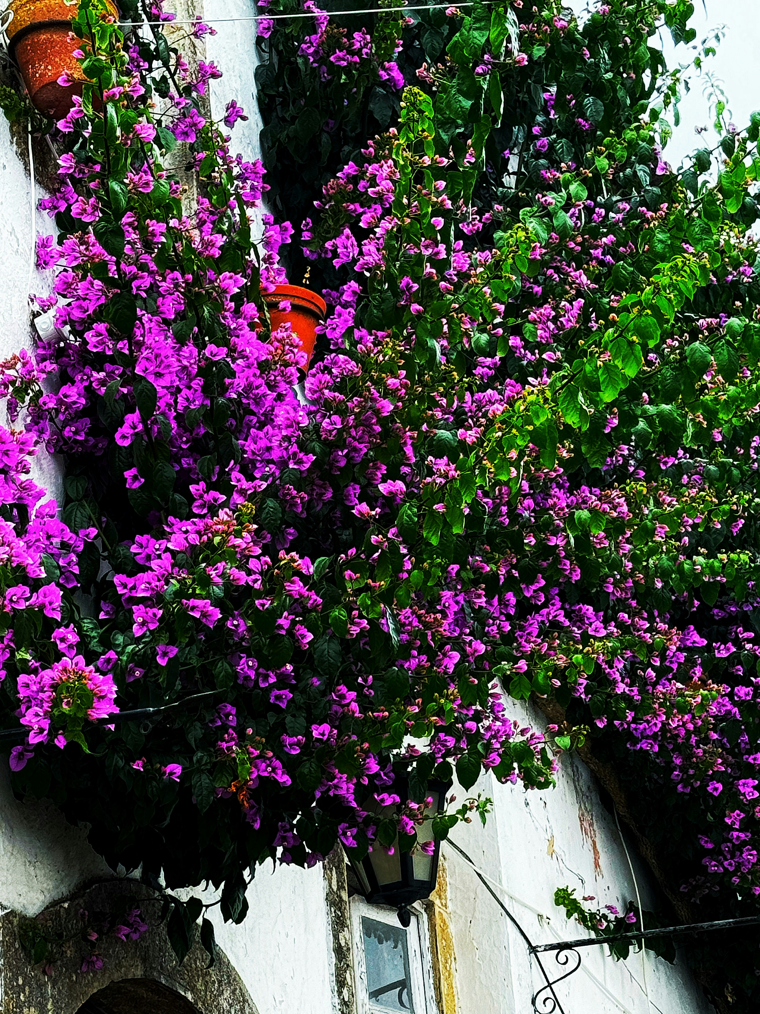 Theresa Lee-Whiting (@tleewhiting) | Unsplash Photo Community