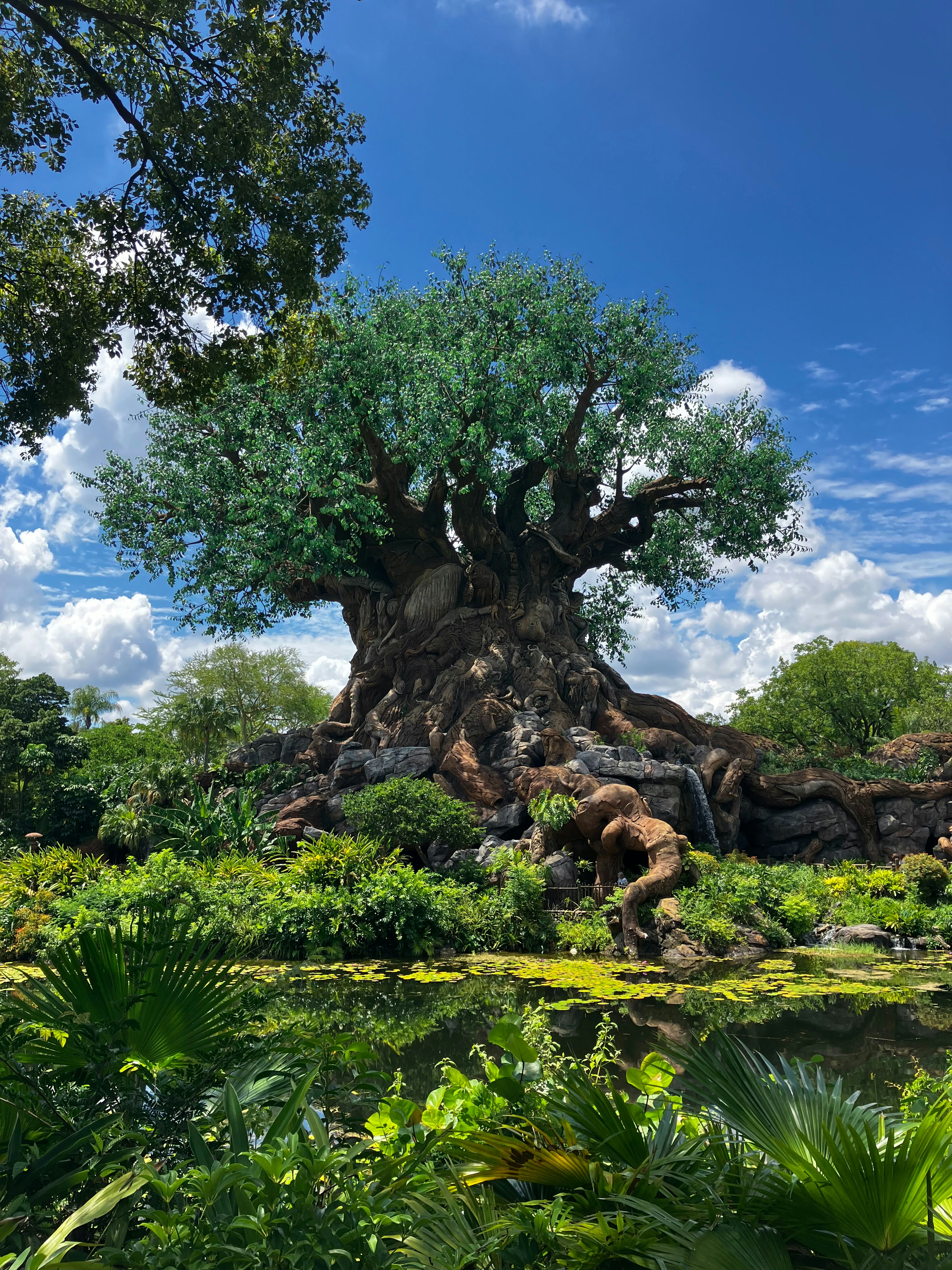 Verdant Colossus of the Rock: Tree Reigning Over the Pond