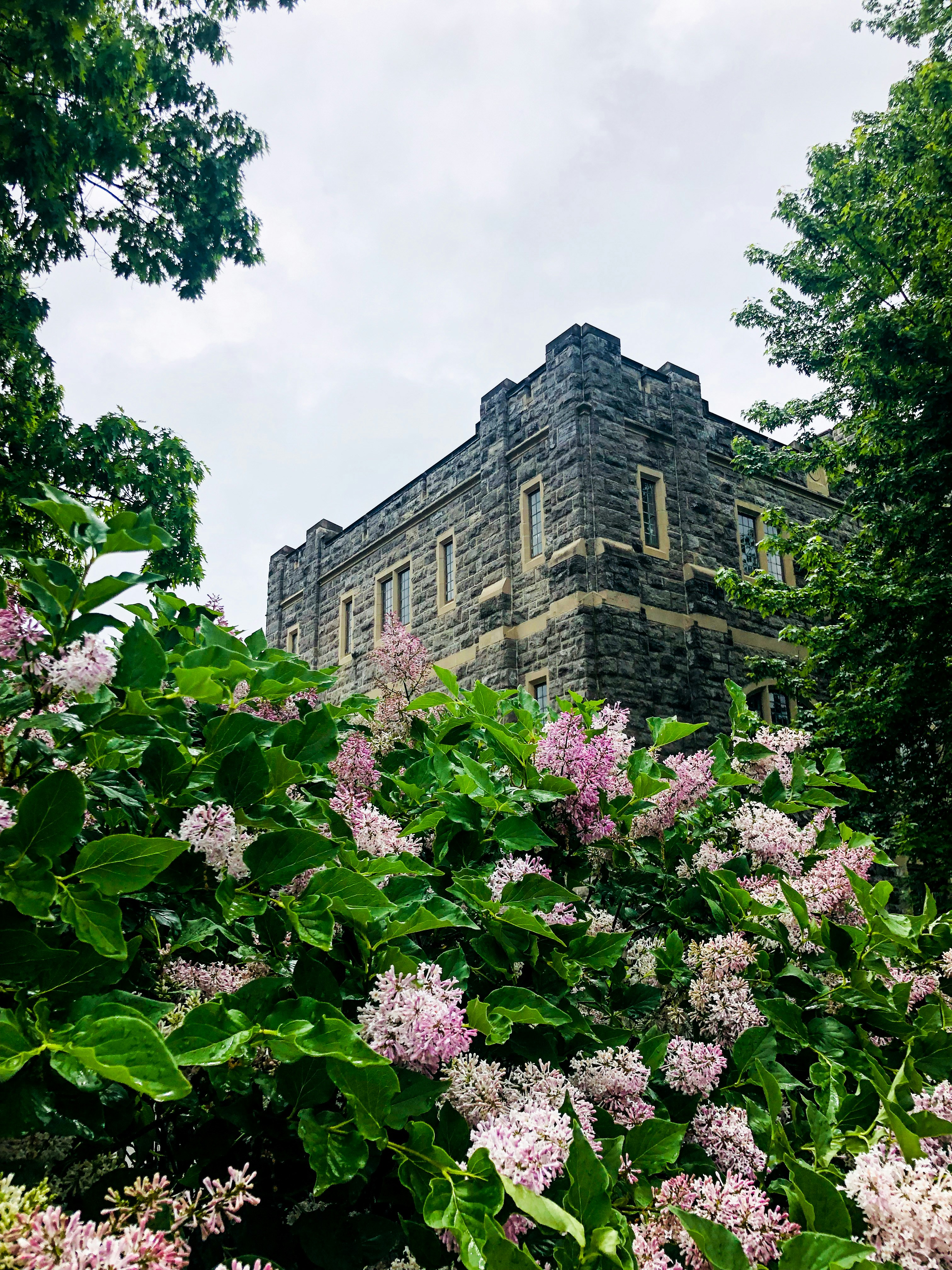 A large building surrounded by trees and flowers photo – Free Virginia ...