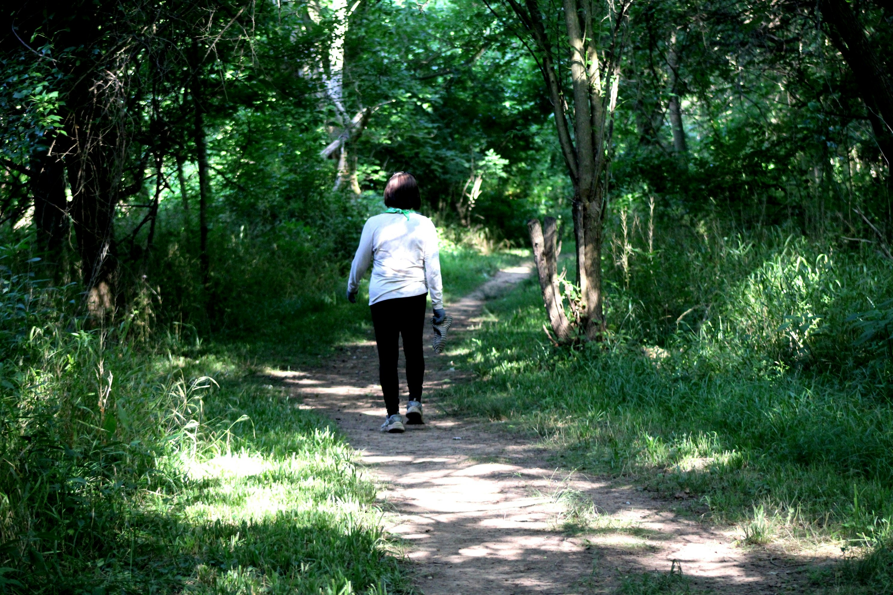 A person walking down a path in the woods