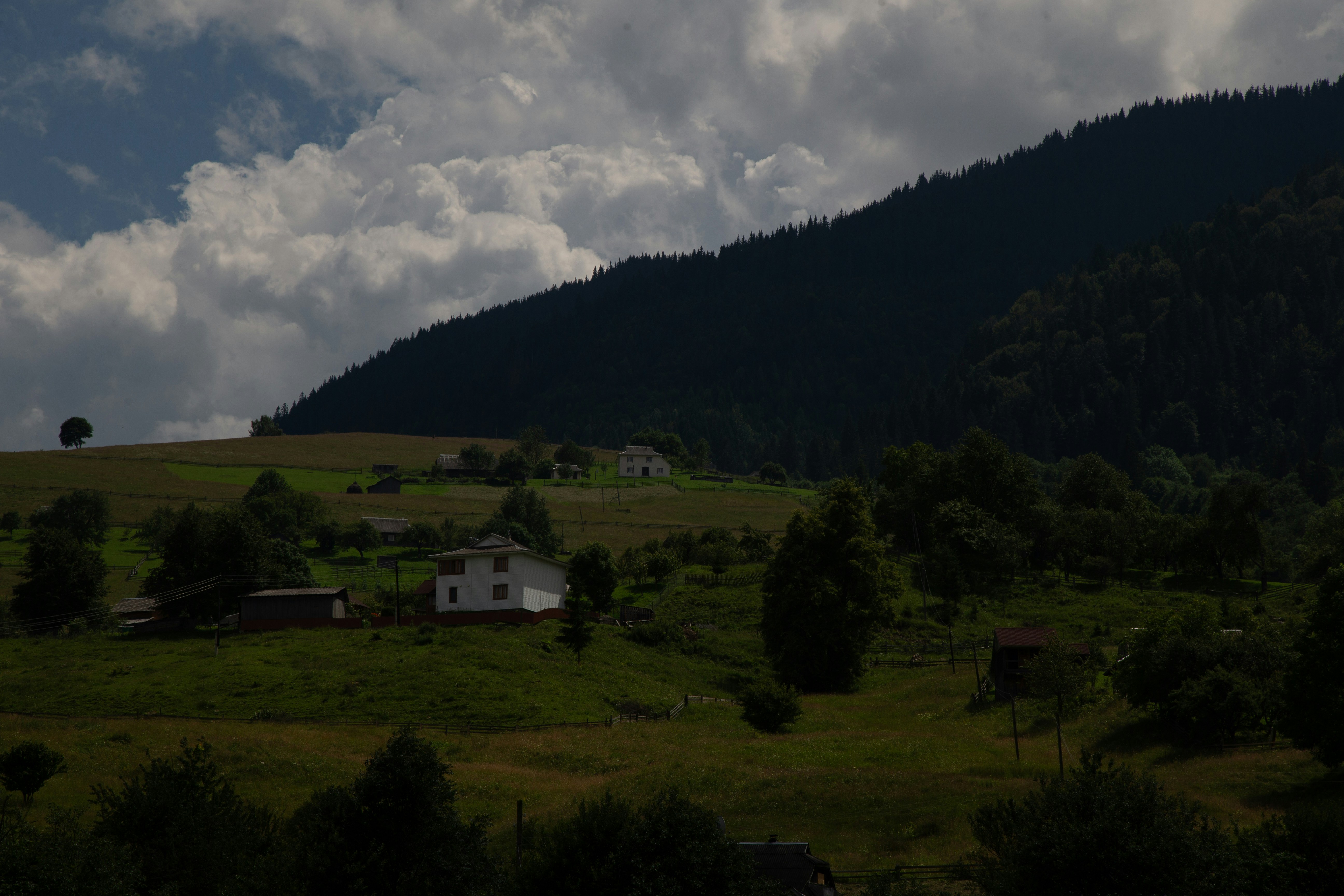 wood,natural,pattern,texture,nature,caree,summer,river,water,forest,view,landscape,wild,rock,hill,lake,sky,mountain,travel,peak,outdoor