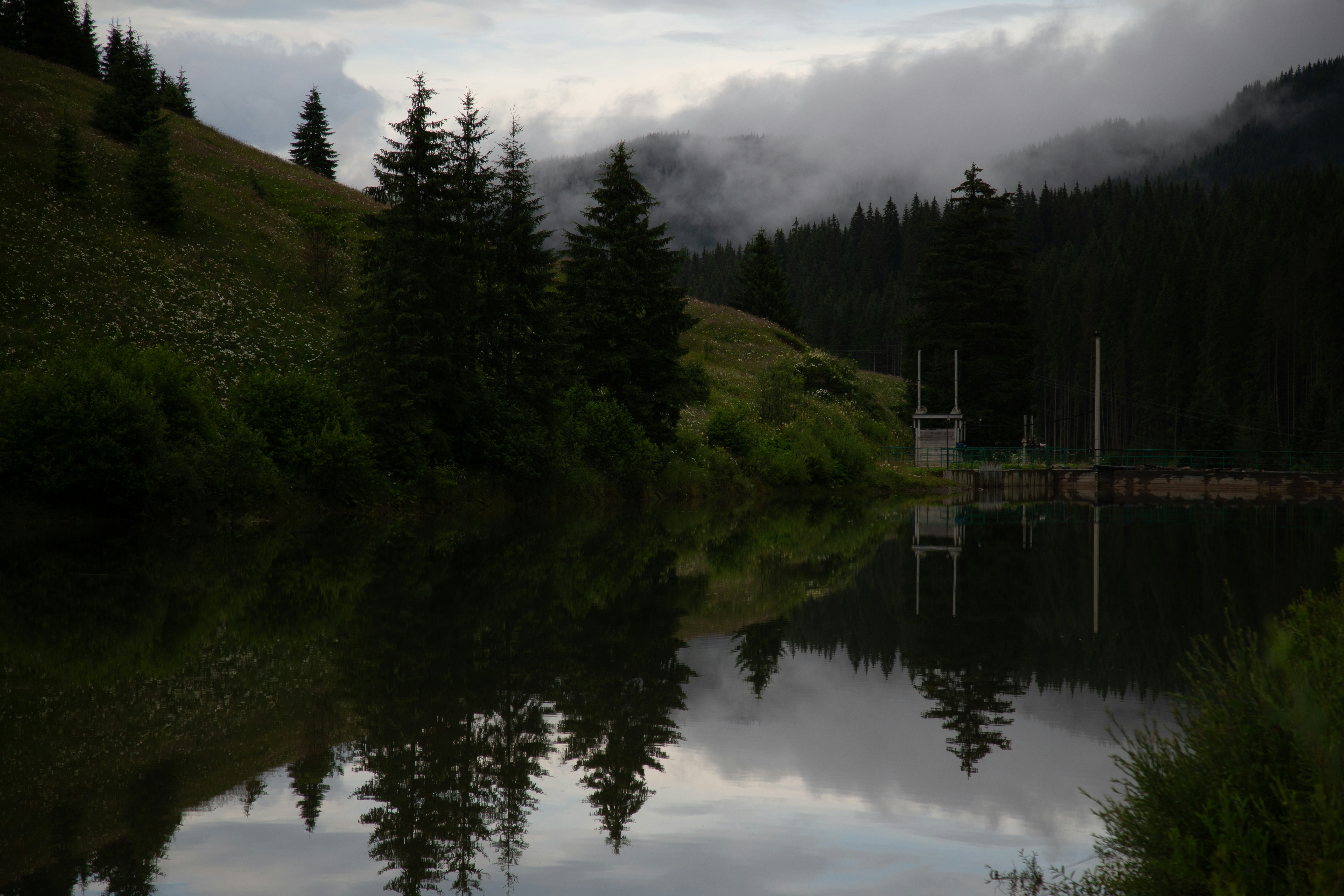 Dusk at the Mirror Lake: A Quiet Dock Framed by Pines